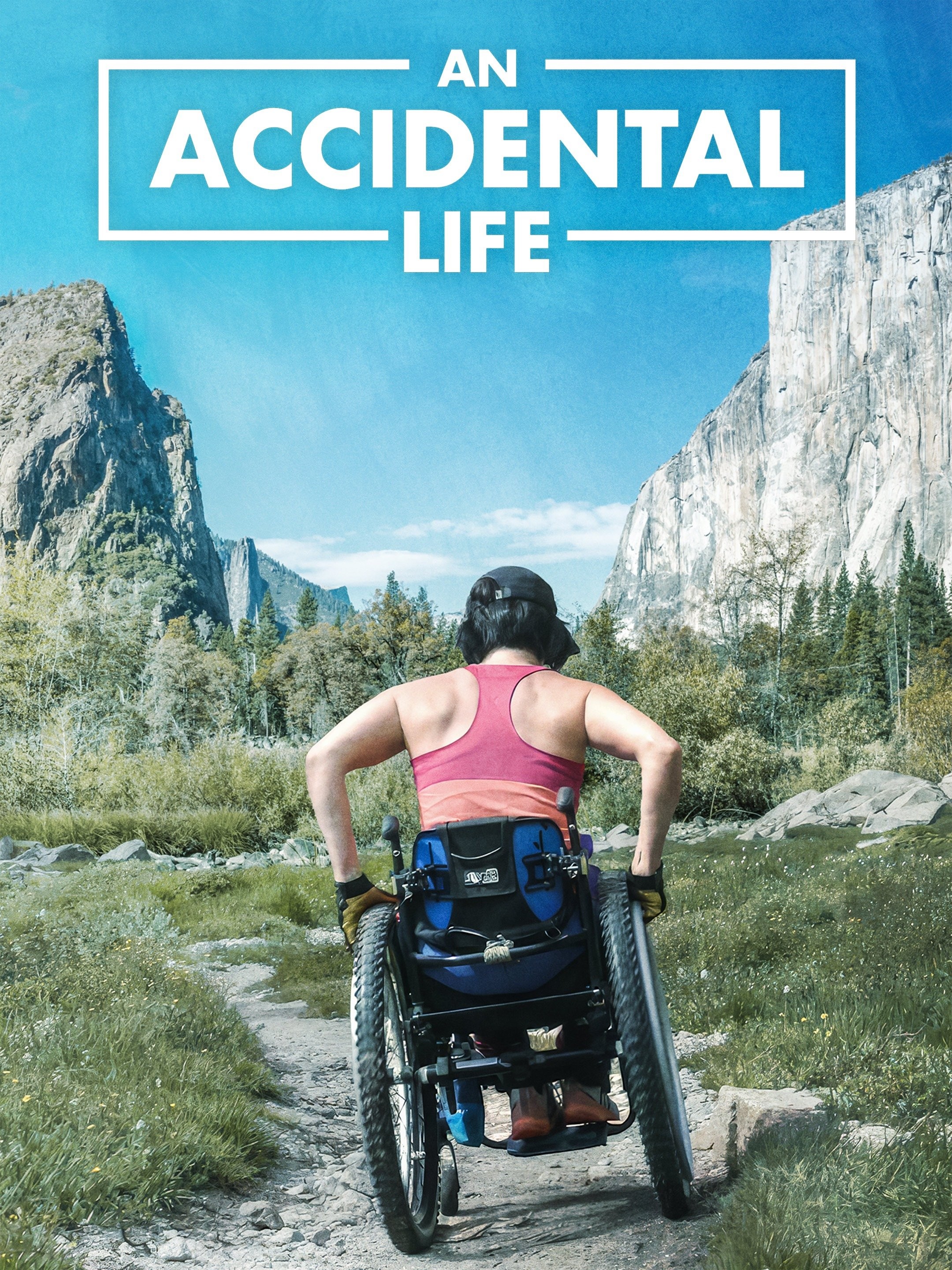 An Accidental Life Pictures | Rotten Tomatoes