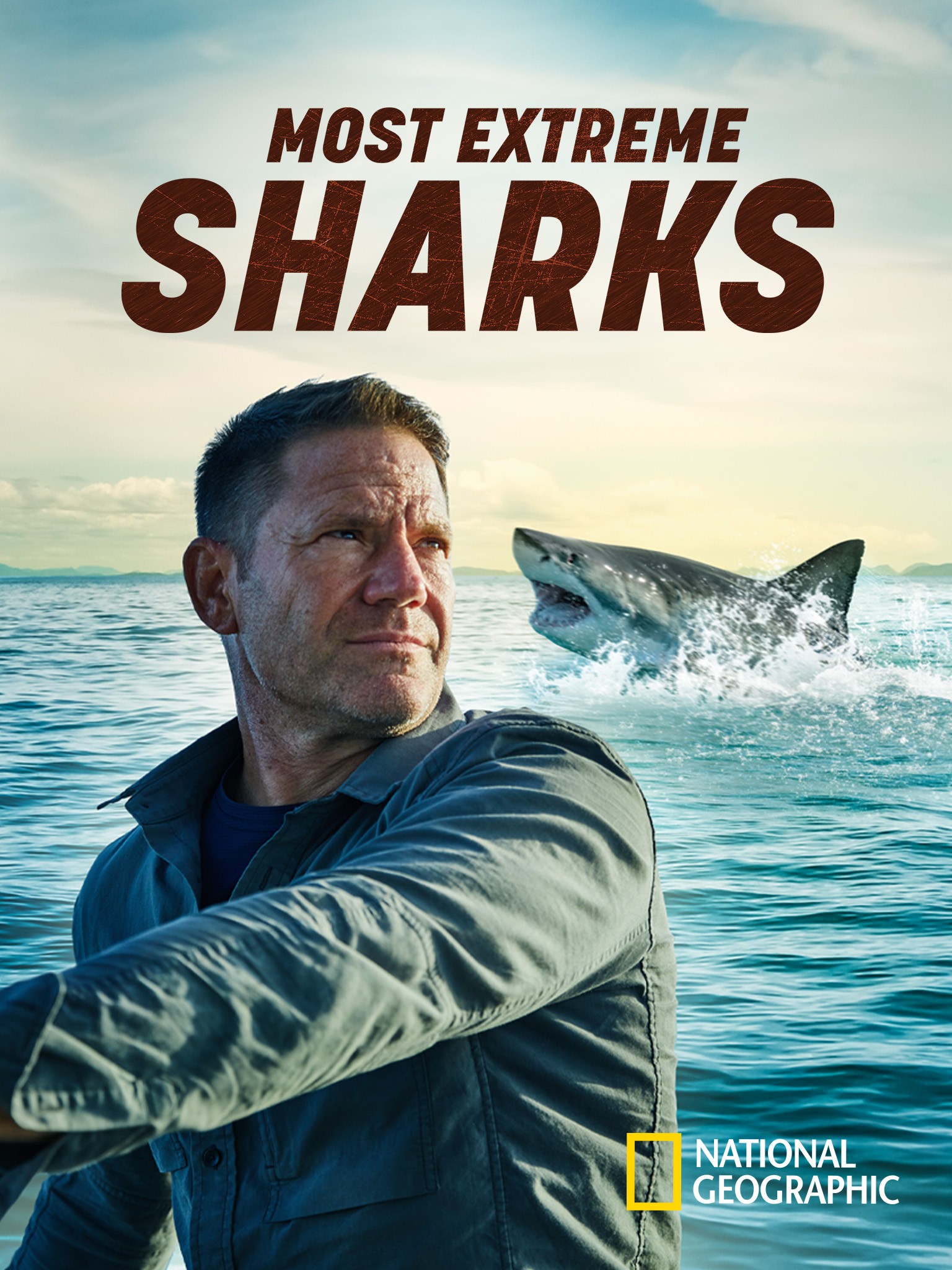 Most Extreme Sharks Season 1 | Rotten Tomatoes