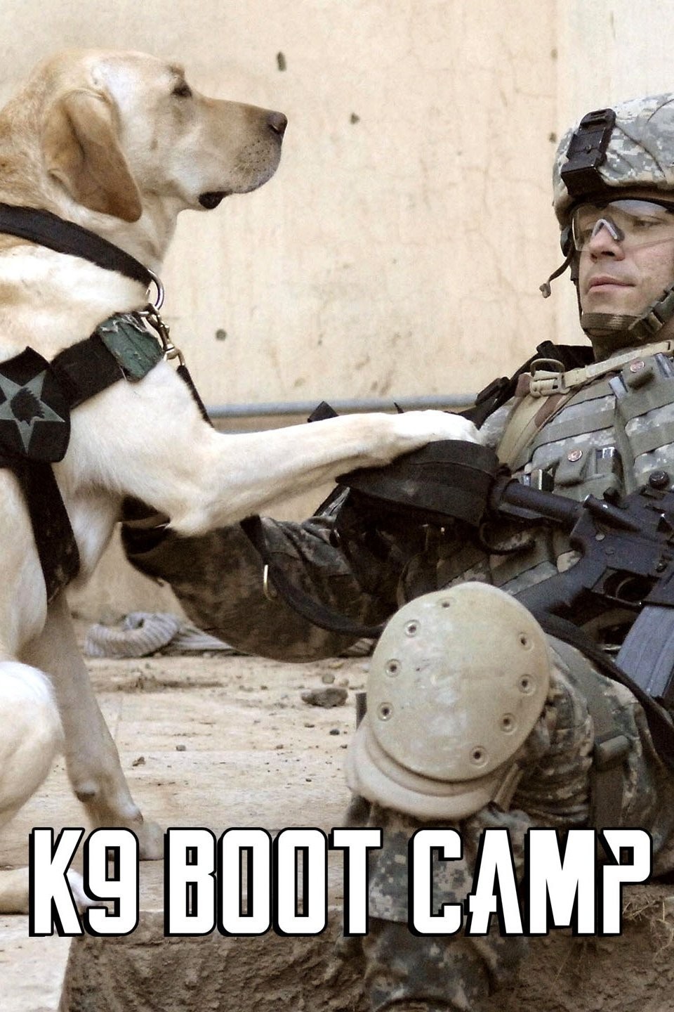 K9 Boot Camp | Rotten Tomatoes