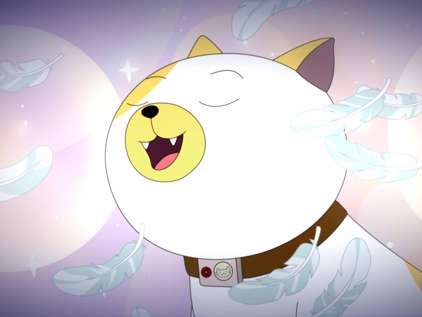 Adventure Time Cake The Cat