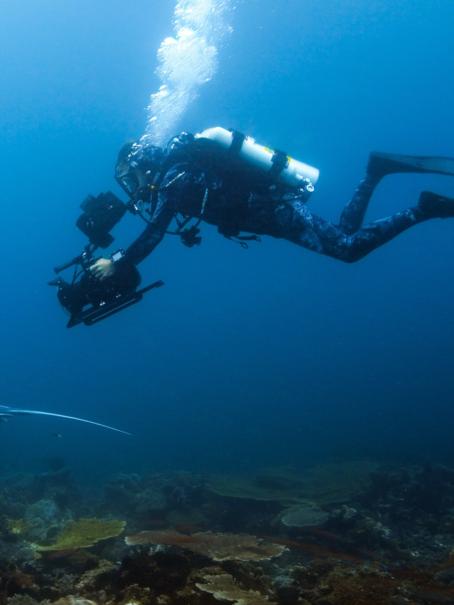 Devil Ray Islands Pictures - Rotten Tomatoes