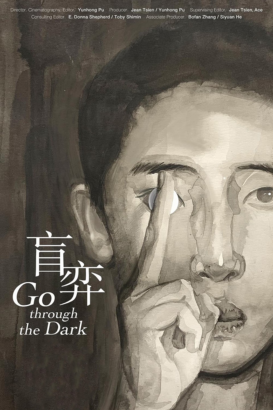 Go Through the Dark Pictures | Rotten Tomatoes