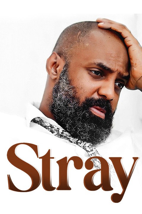 Stray | Rotten Tomatoes