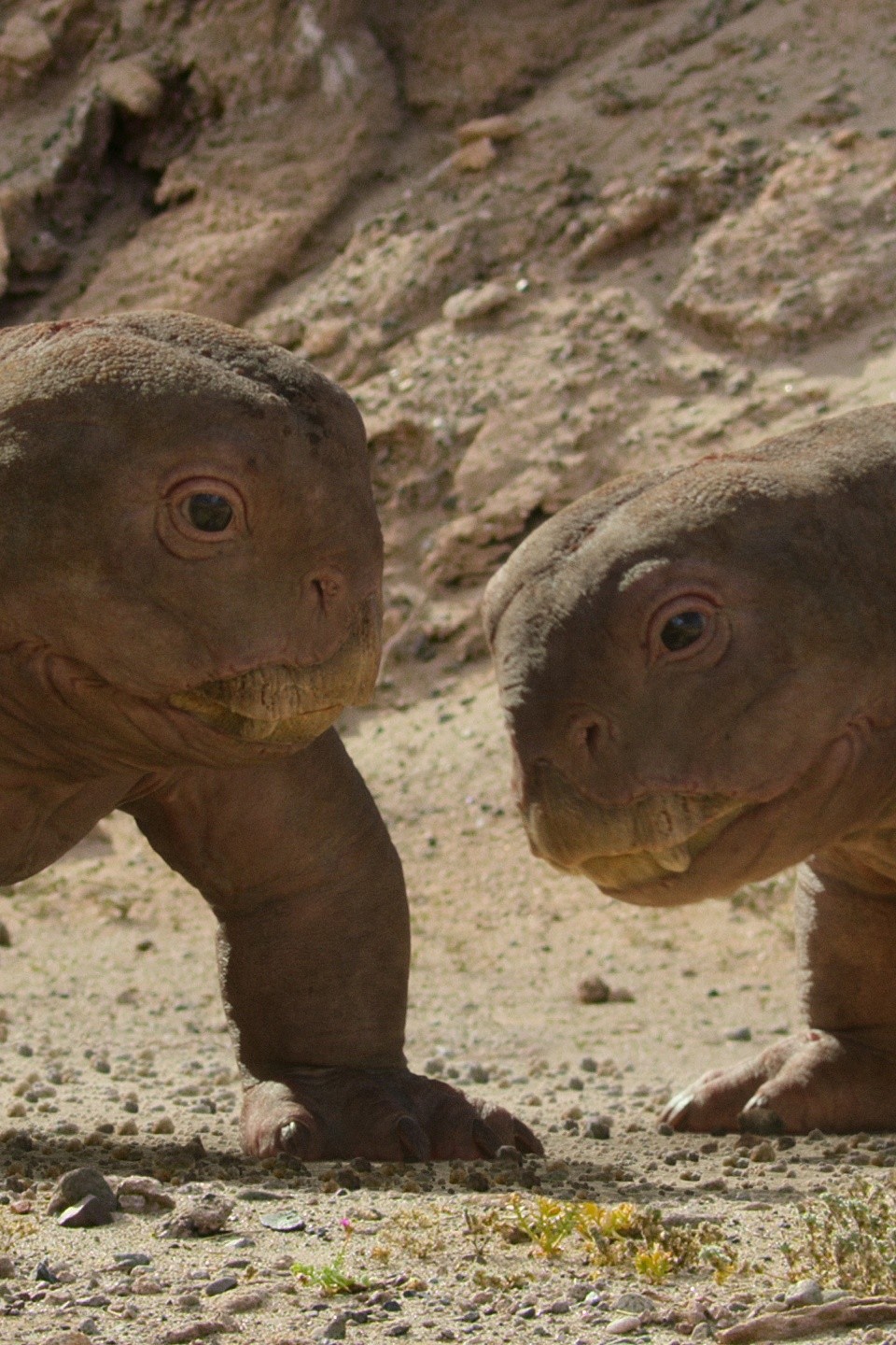 Chapter 4: In Cold Blood Pictures | Rotten Tomatoes