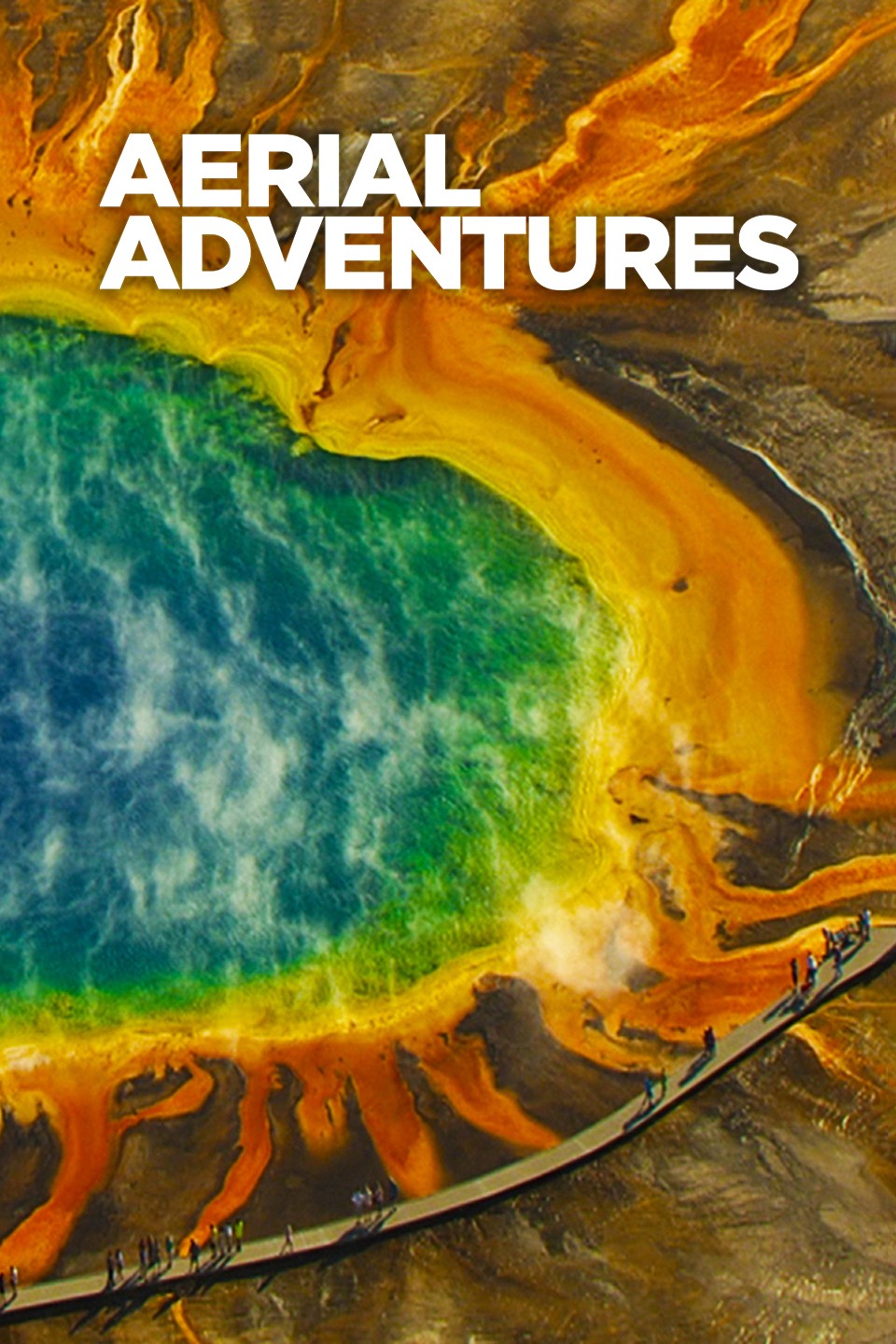 Aerial Adventures | Rotten Tomatoes
