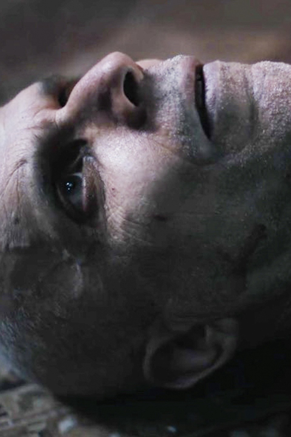 The Stone Face Pictures | Rotten Tomatoes