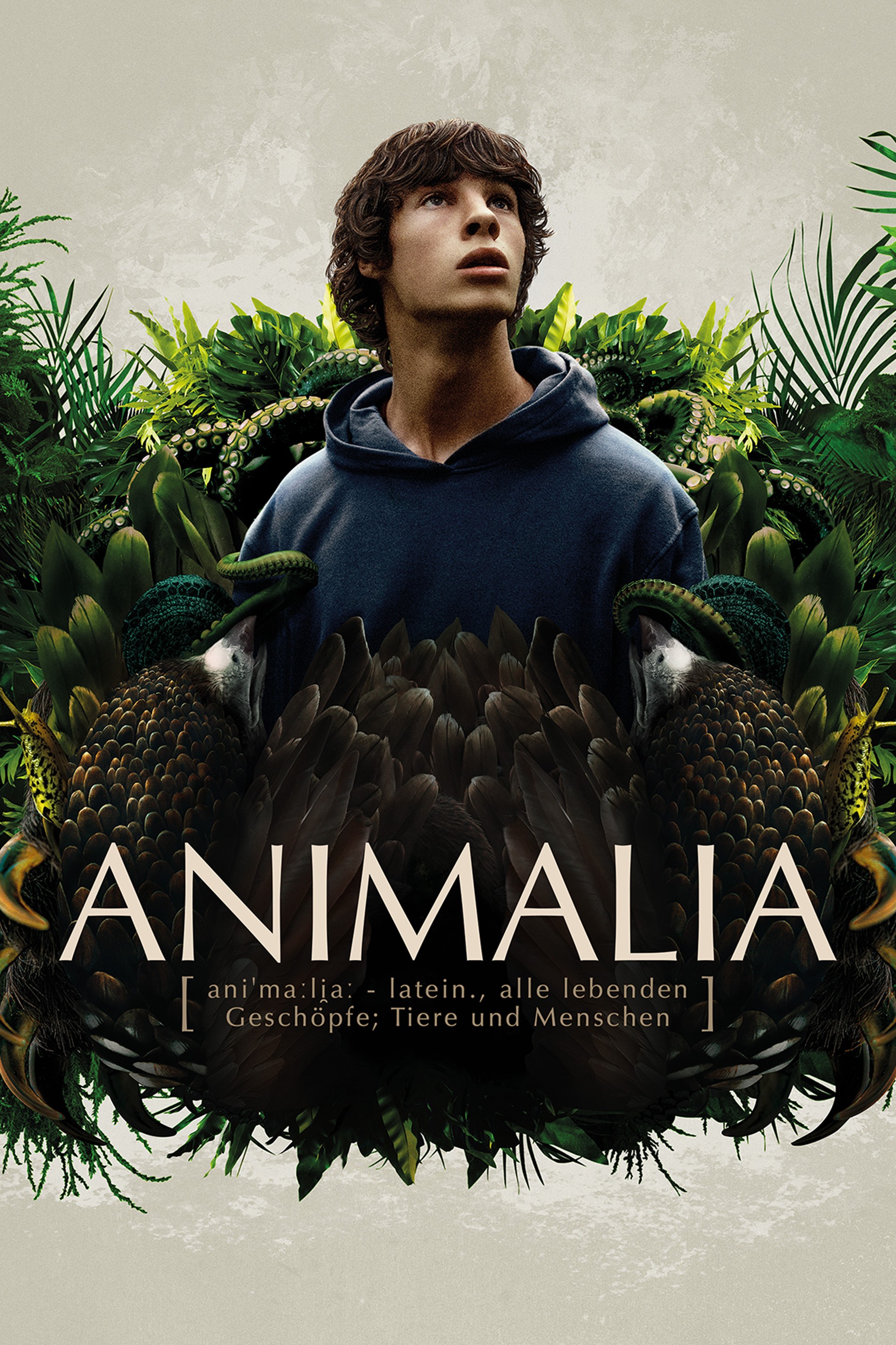 Animalia | Rotten Tomatoes