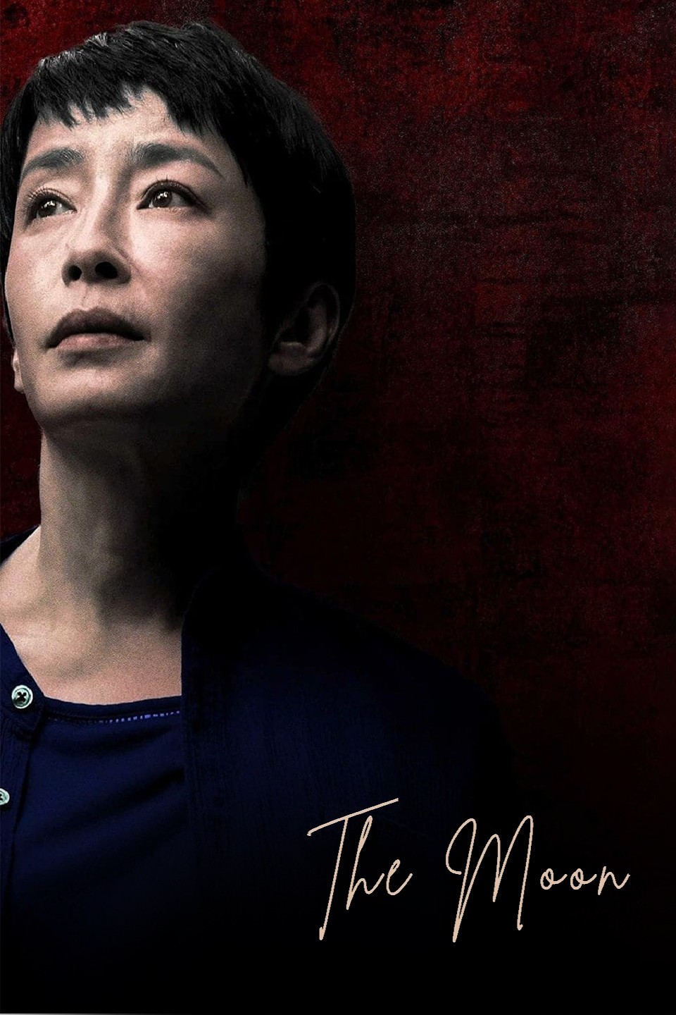 The Moon Pictures | Rotten Tomatoes