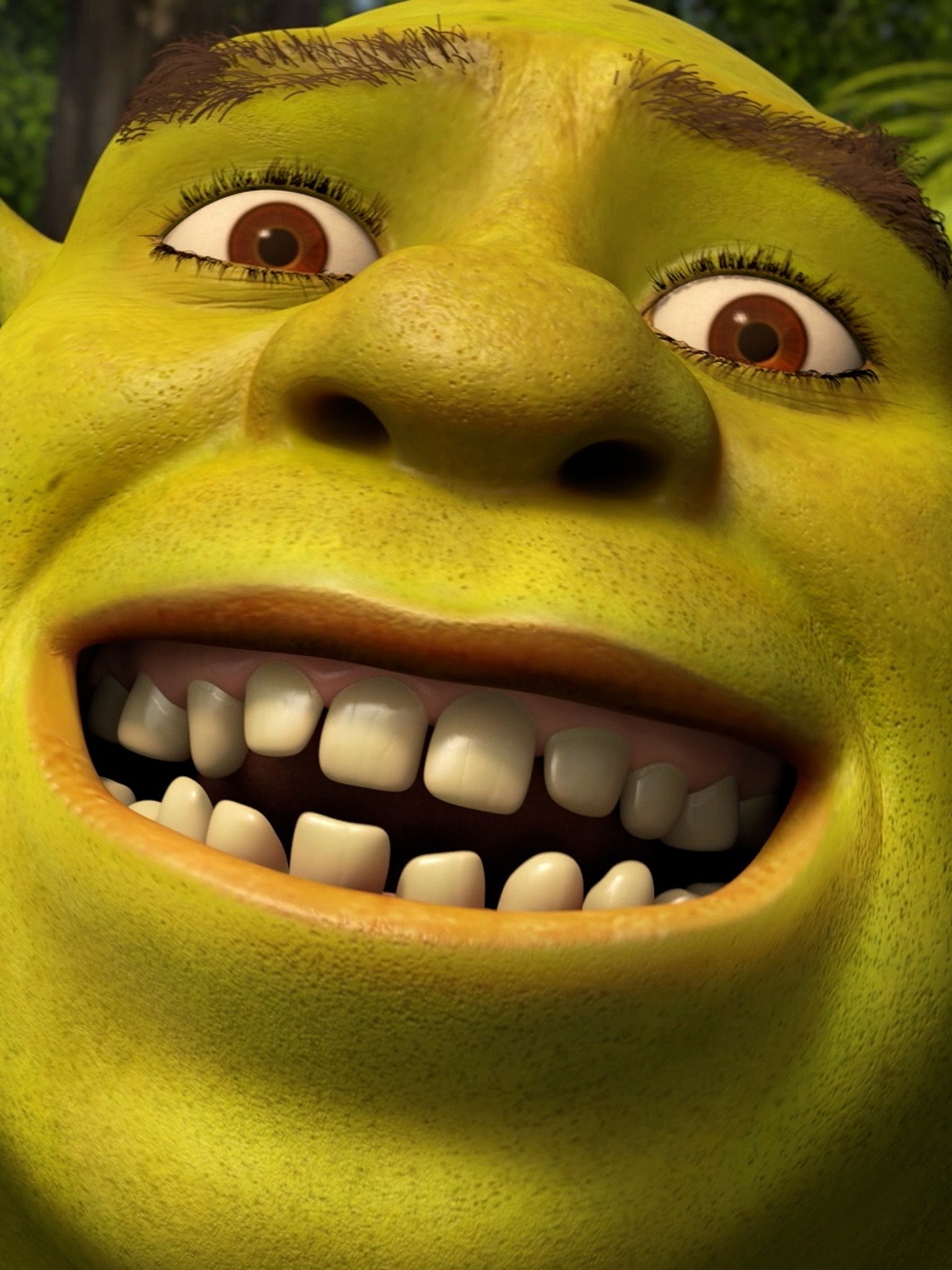 Never Floss Again Pictures - Rotten Tomatoes