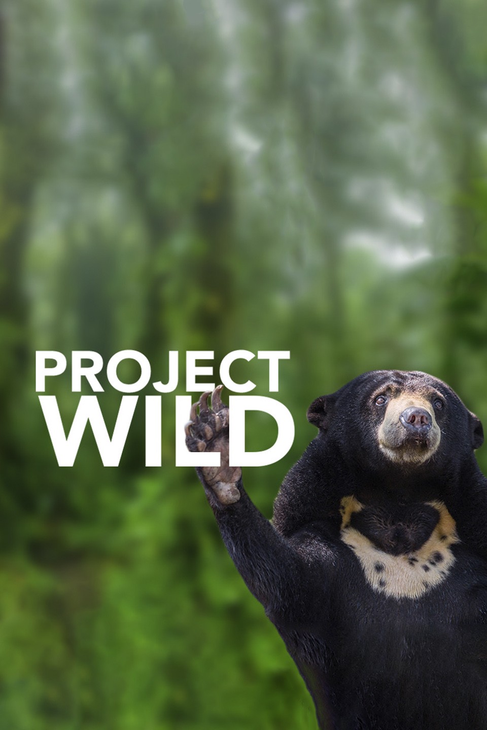 Project Wild Pictures | Rotten Tomatoes