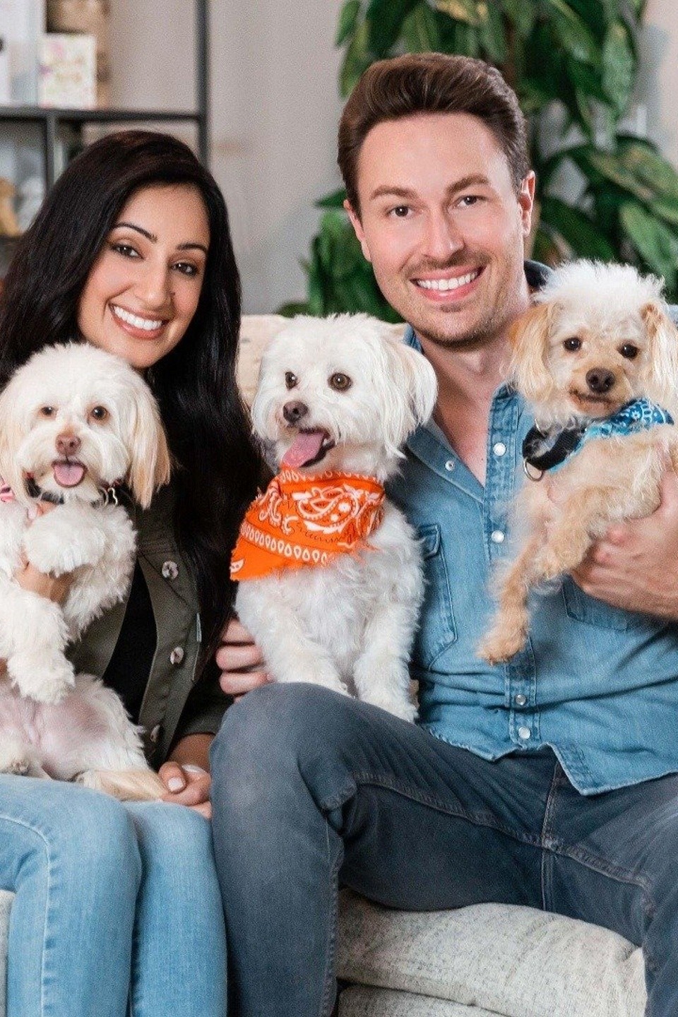 Ginger Reunion Pictures - Rotten Tomatoes