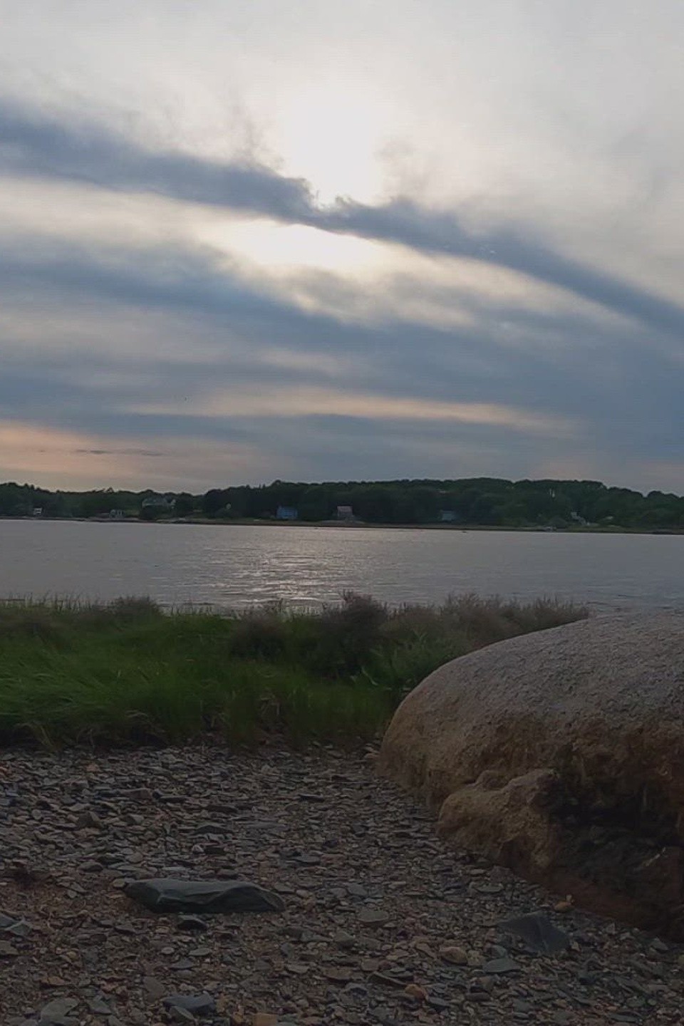 The Grand Opening Pictures | Rotten Tomatoes