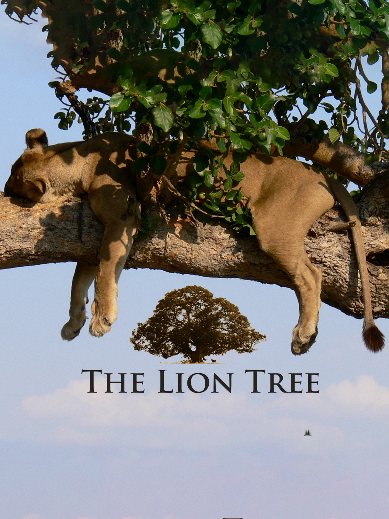 The Lion Tree Pictures | Rotten Tomatoes