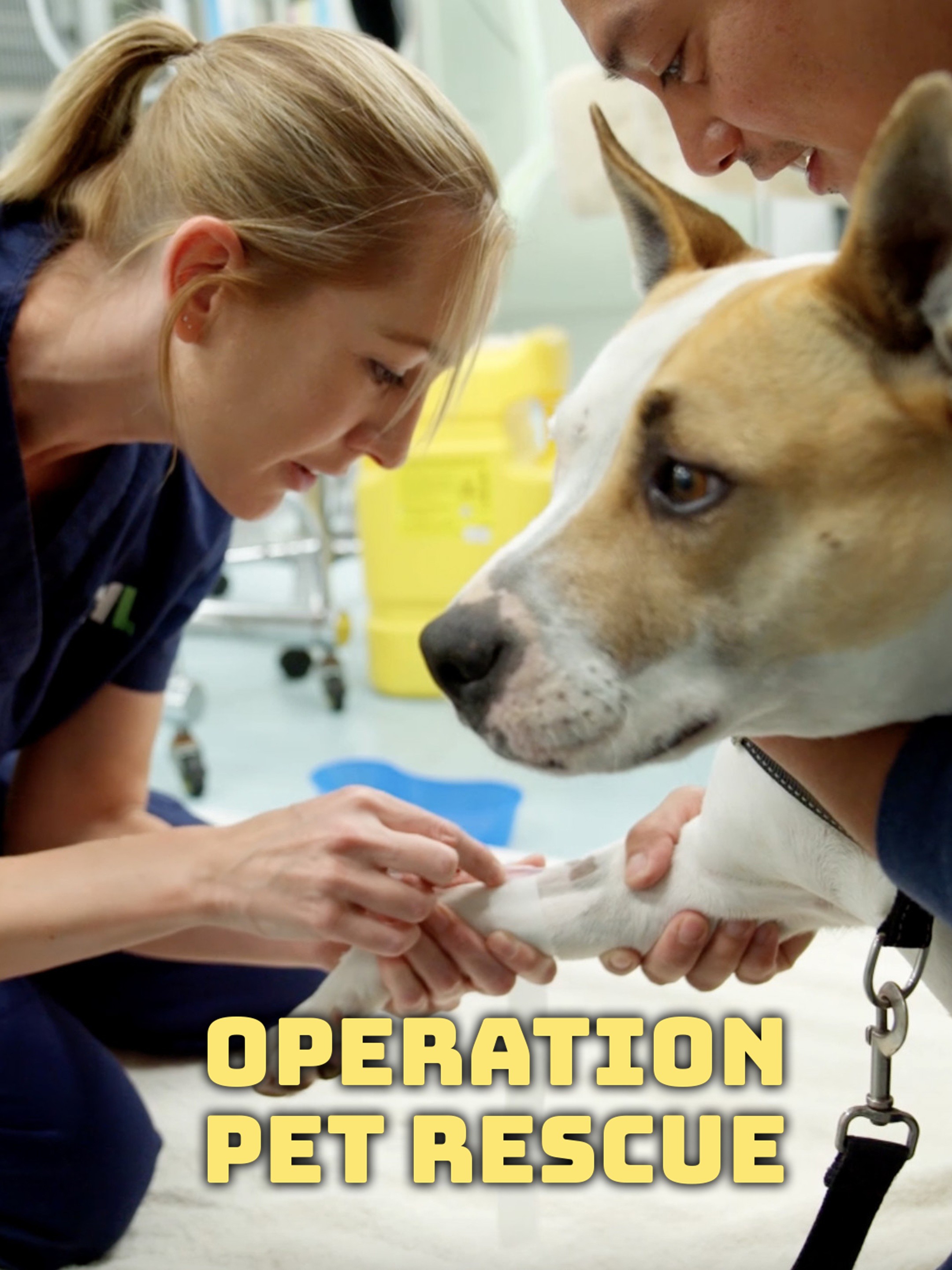 Operation: Pet Rescue Season 1 | Rotten Tomatoes
