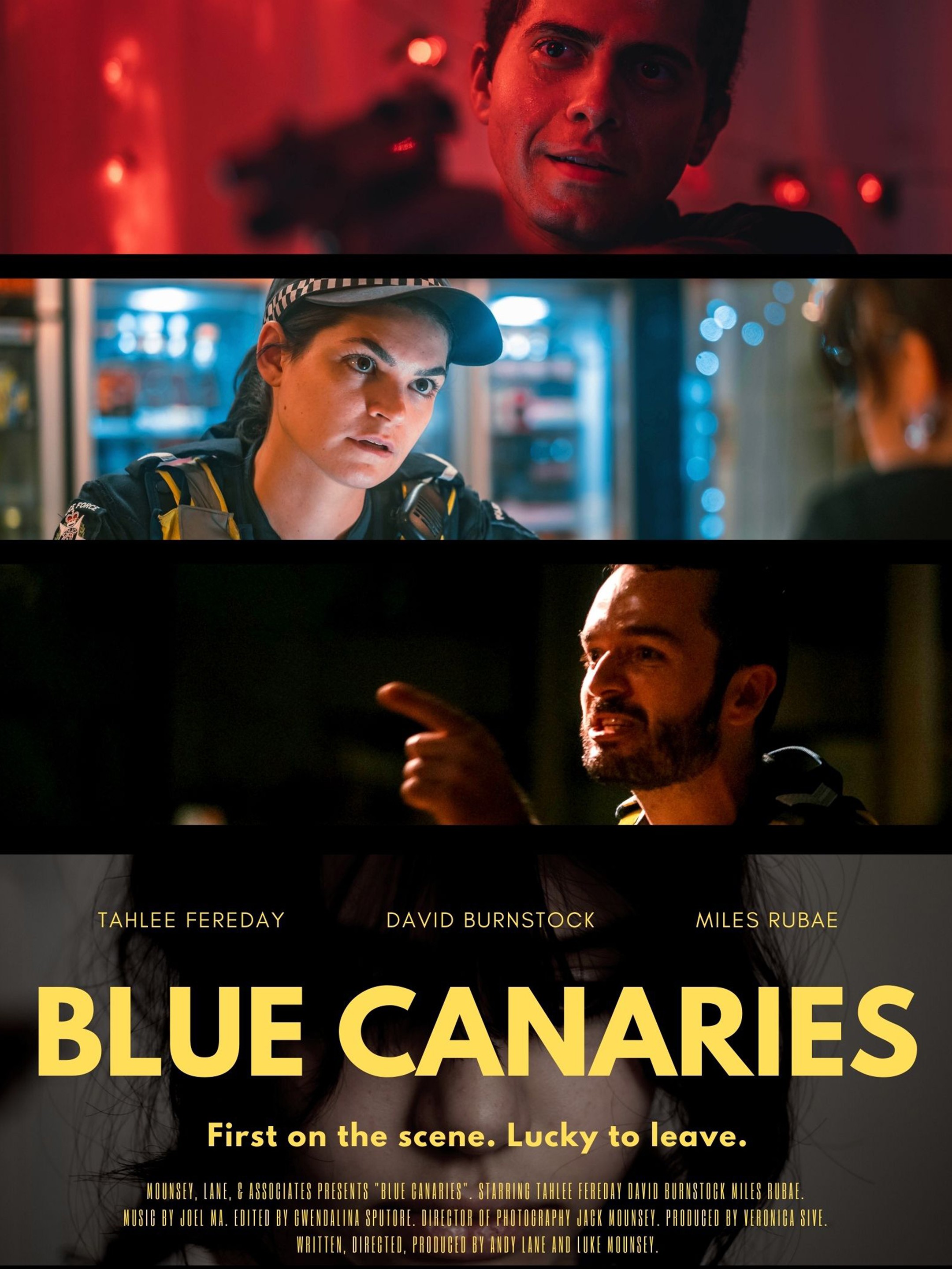 Blue Canaries Pictures | Rotten Tomatoes