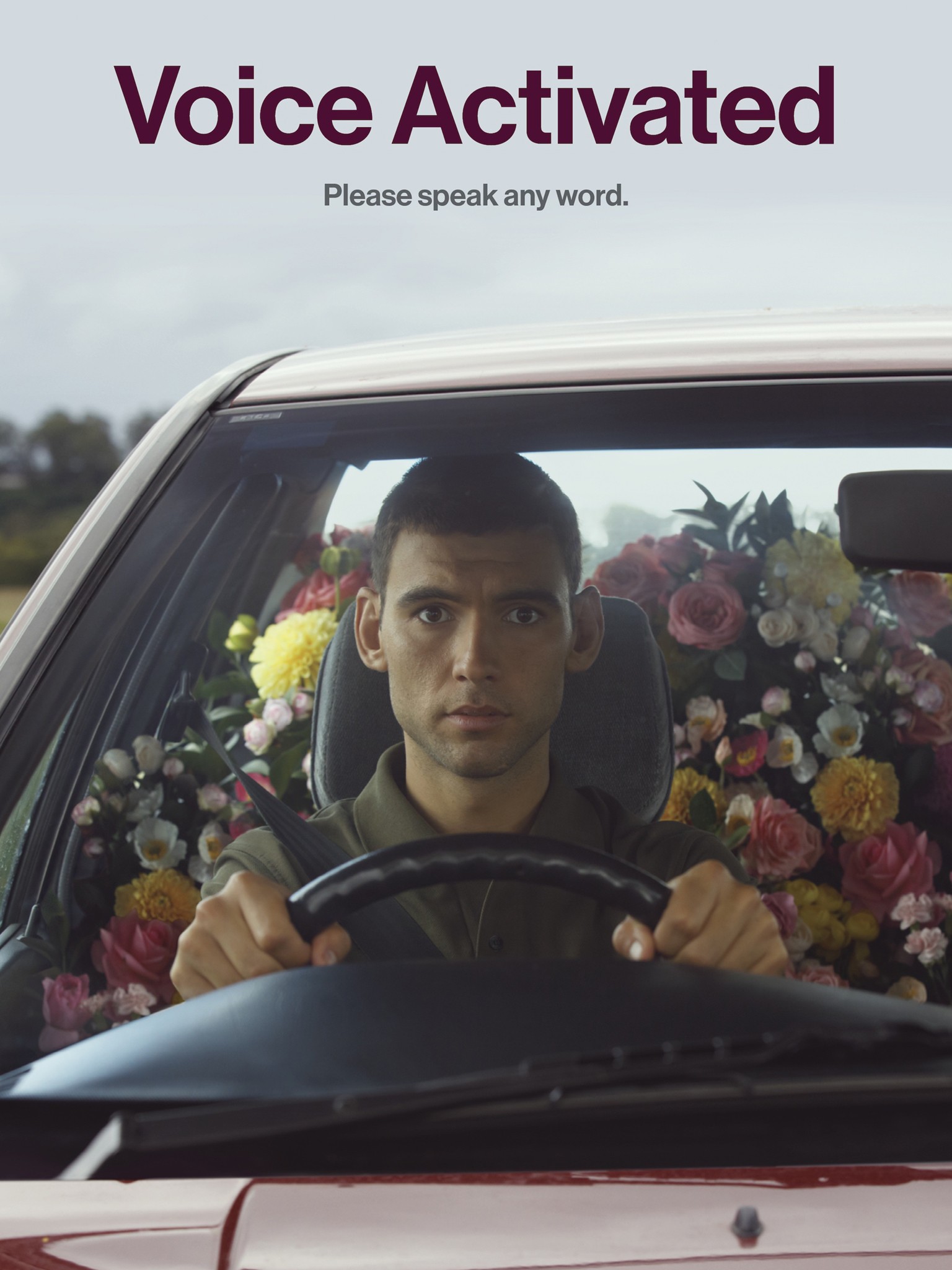 Voice Activated Pictures | Rotten Tomatoes