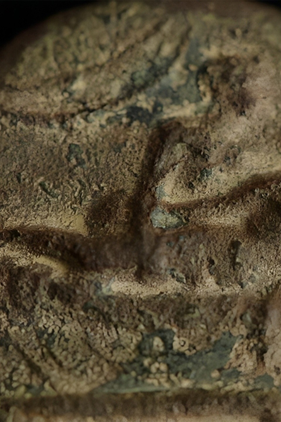 Rare Relics Pictures | Rotten Tomatoes