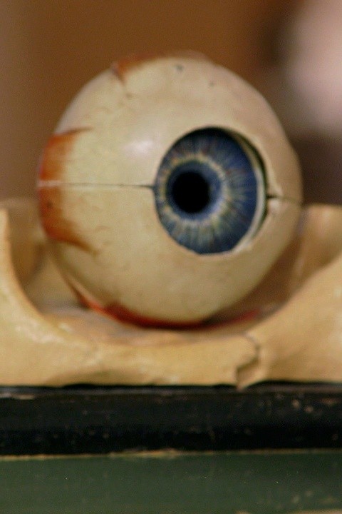 Weird, Odd & Outrageous Pictures | Rotten Tomatoes