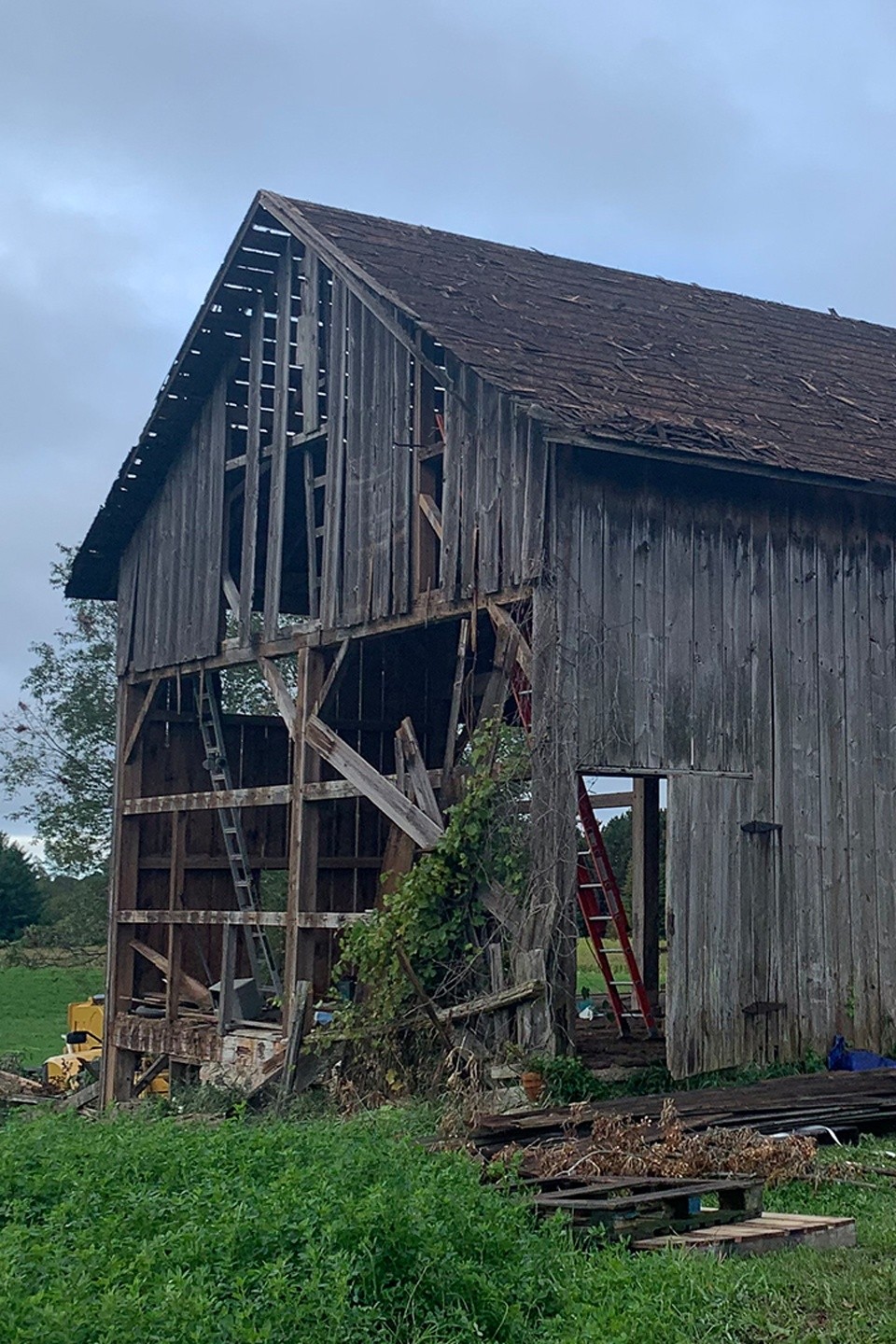 Barn Again Pictures | Rotten Tomatoes