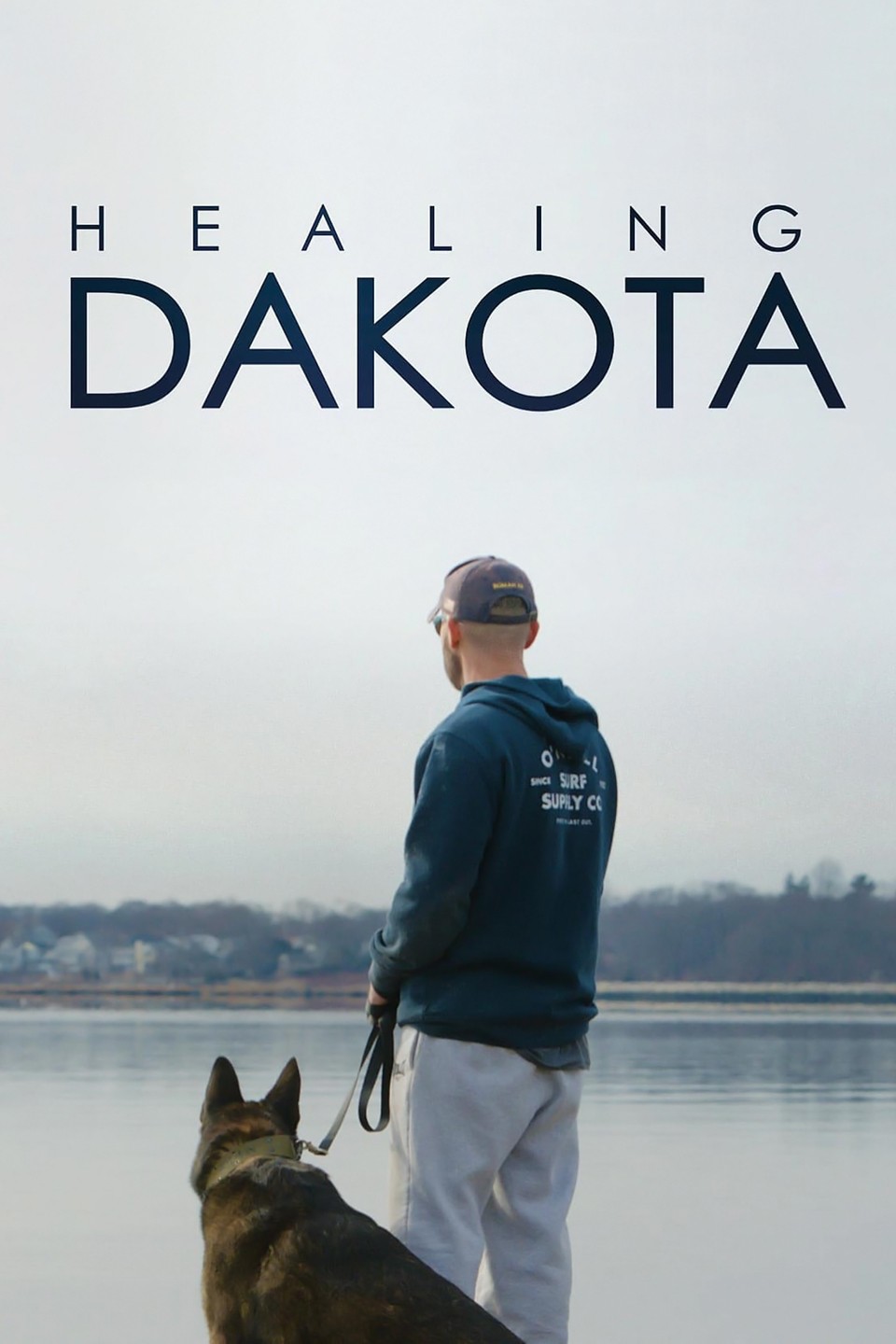 Healing Dakota | Rotten Tomatoes