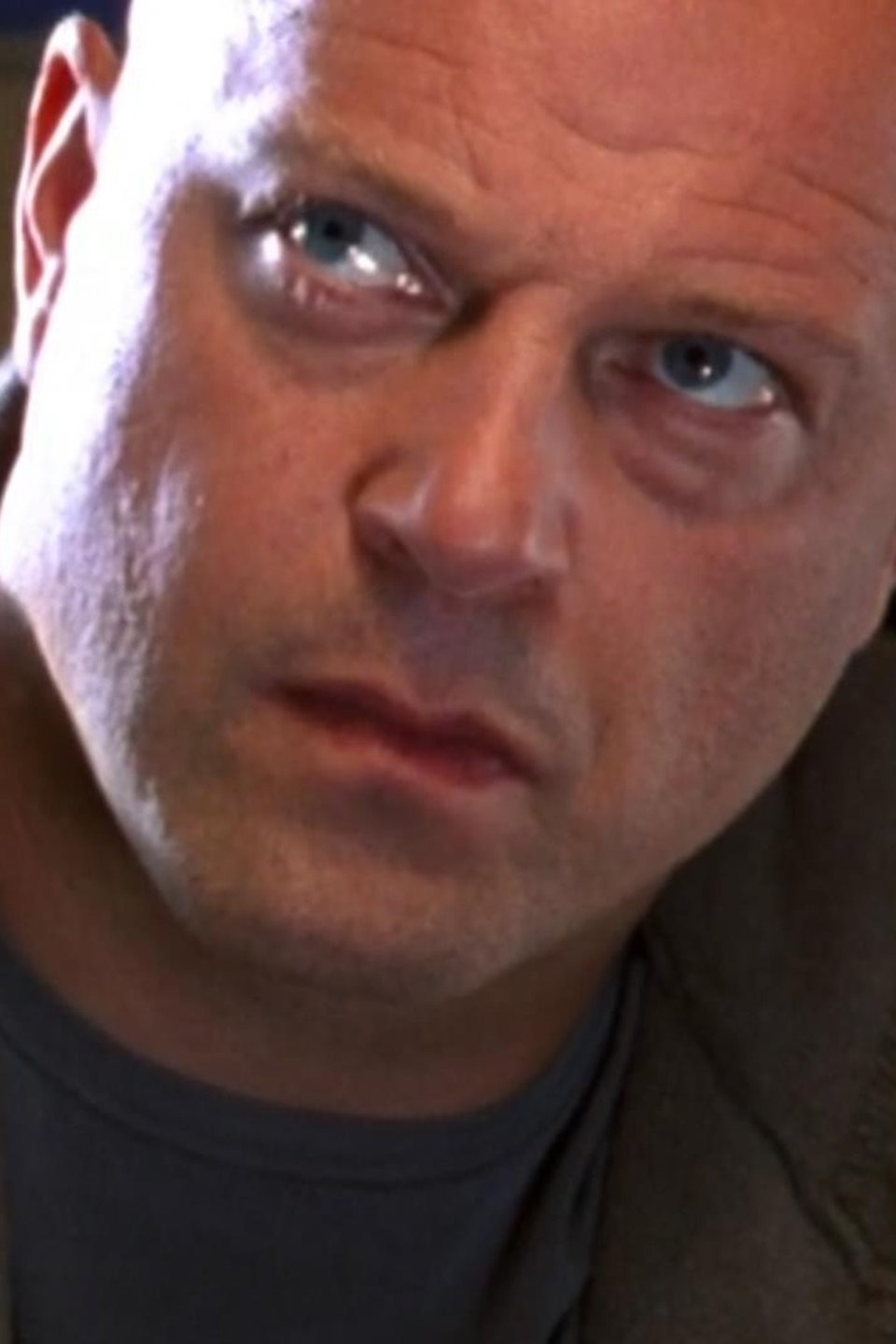 Quick Fix Pictures | Rotten Tomatoes