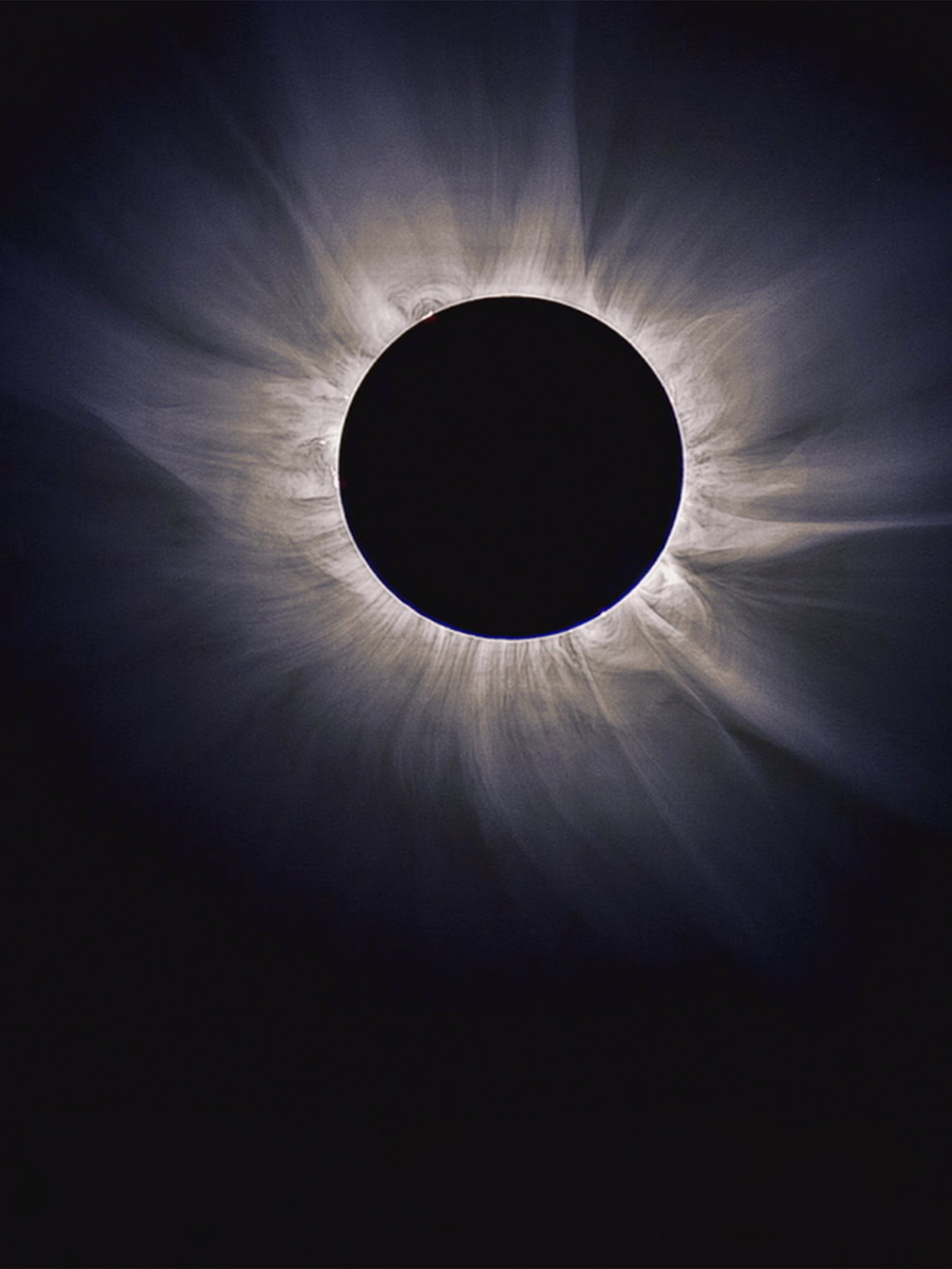 Great American Eclipse Pictures | Rotten Tomatoes