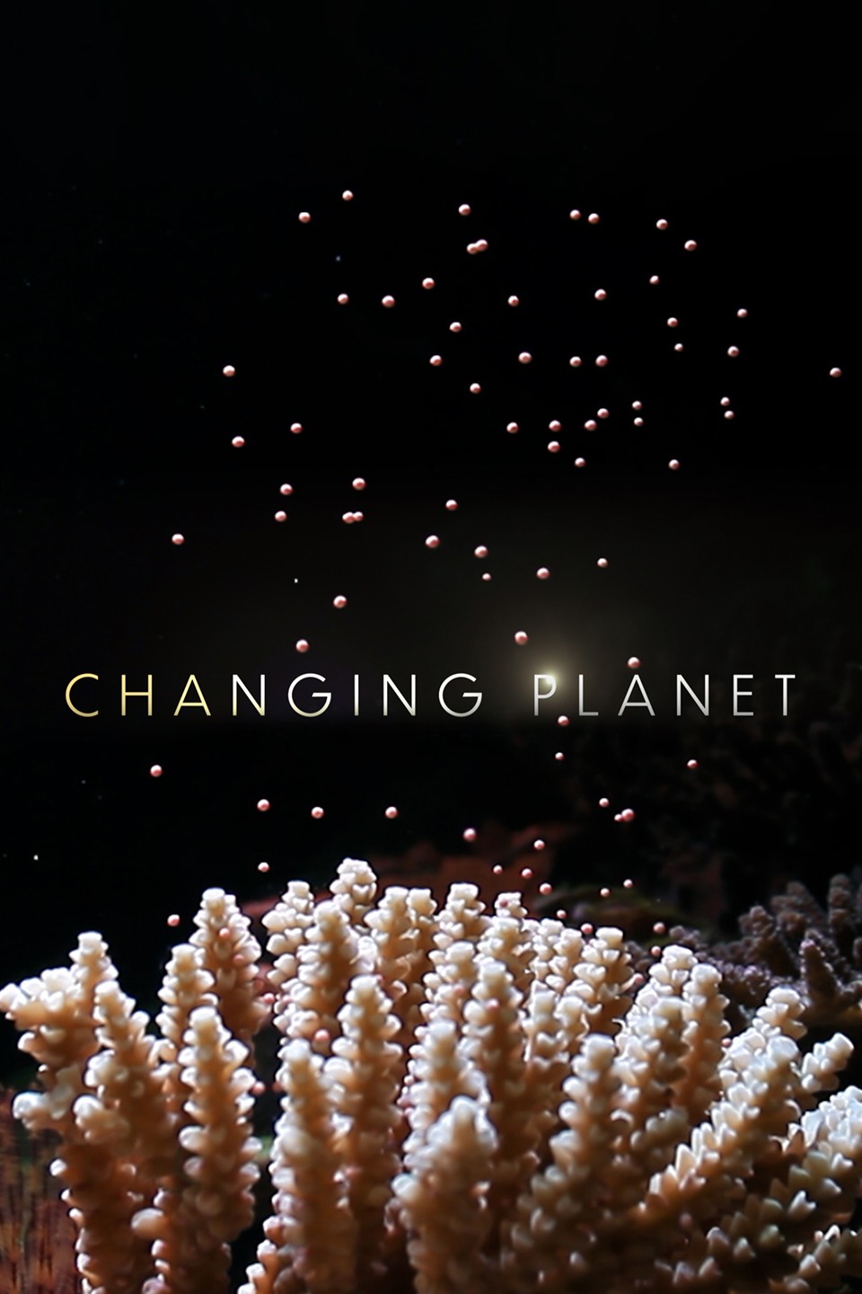 Changing Planet: Season 3 Pictures | Rotten Tomatoes