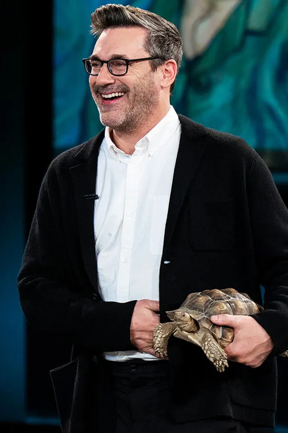 A Chili Cooking Turtle Pictures | Rotten Tomatoes