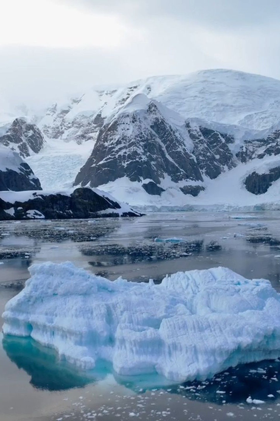 Antarctica Pictures | Rotten Tomatoes