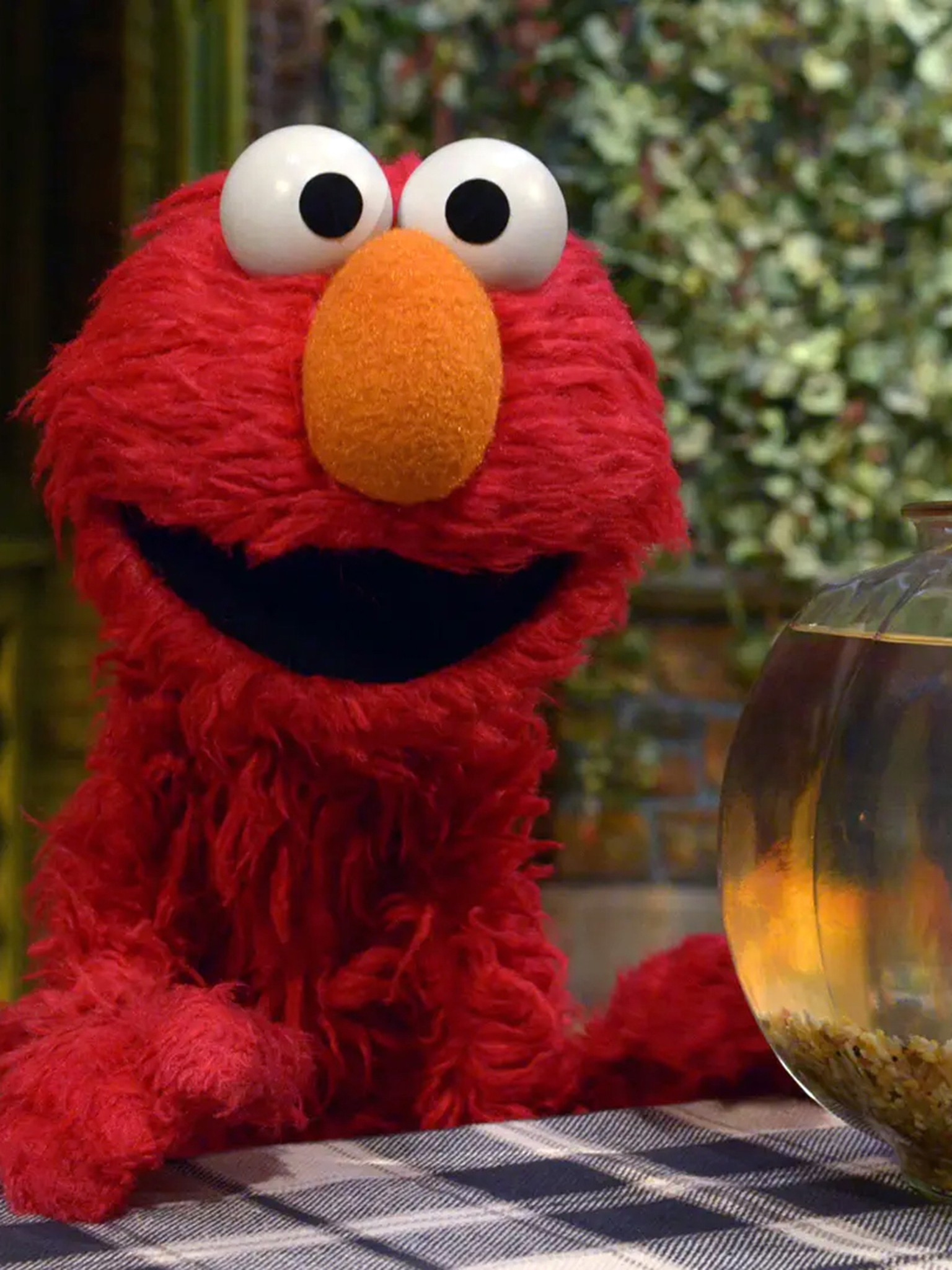 Elmo and Abby's Ocean Adventure Pictures | Rotten Tomatoes