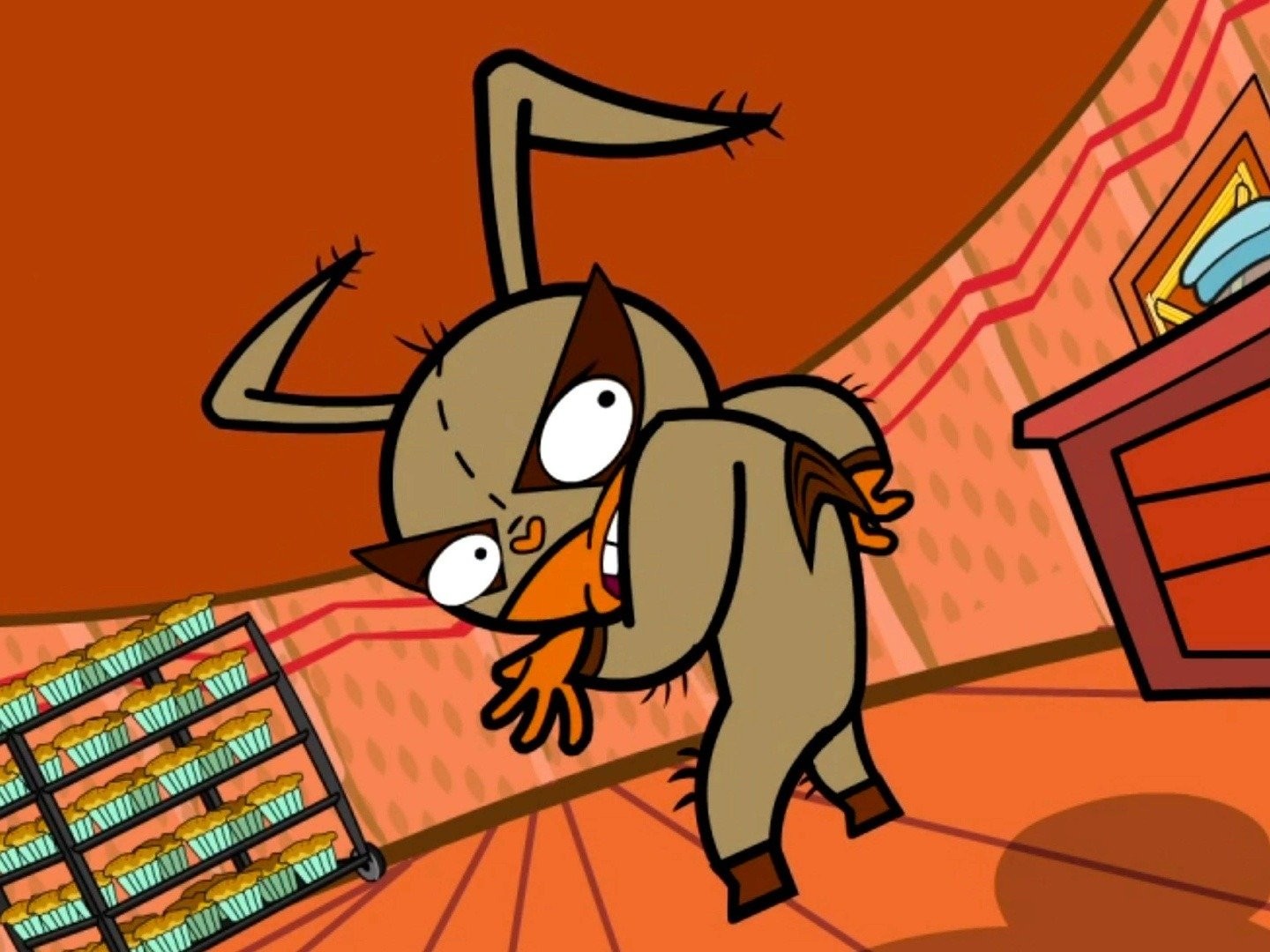 Flea Mucha Lucha Collection Discounts | www.pinnaxis.com