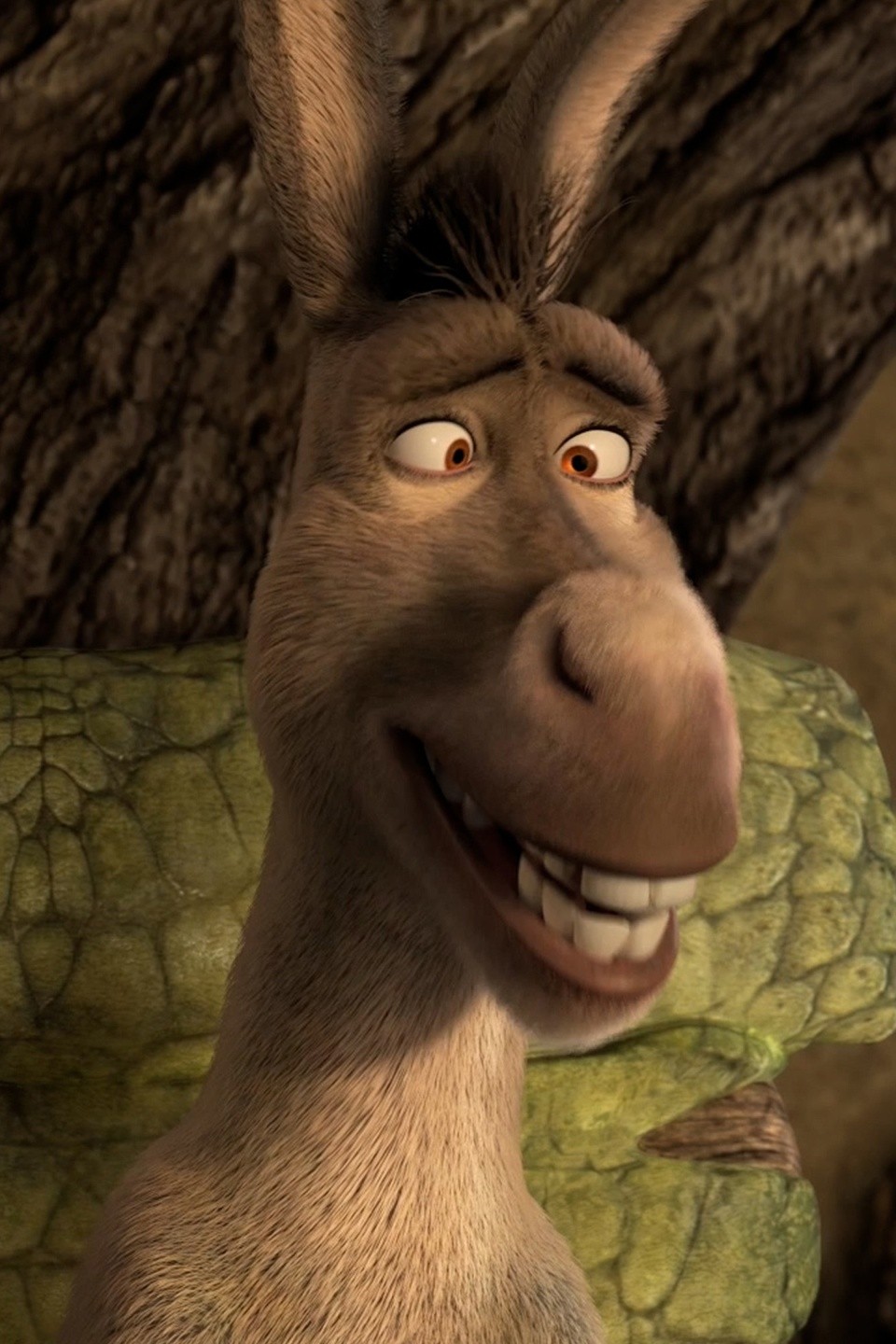Has Shrek Gone Blind? Pictures | Rotten Tomatoes