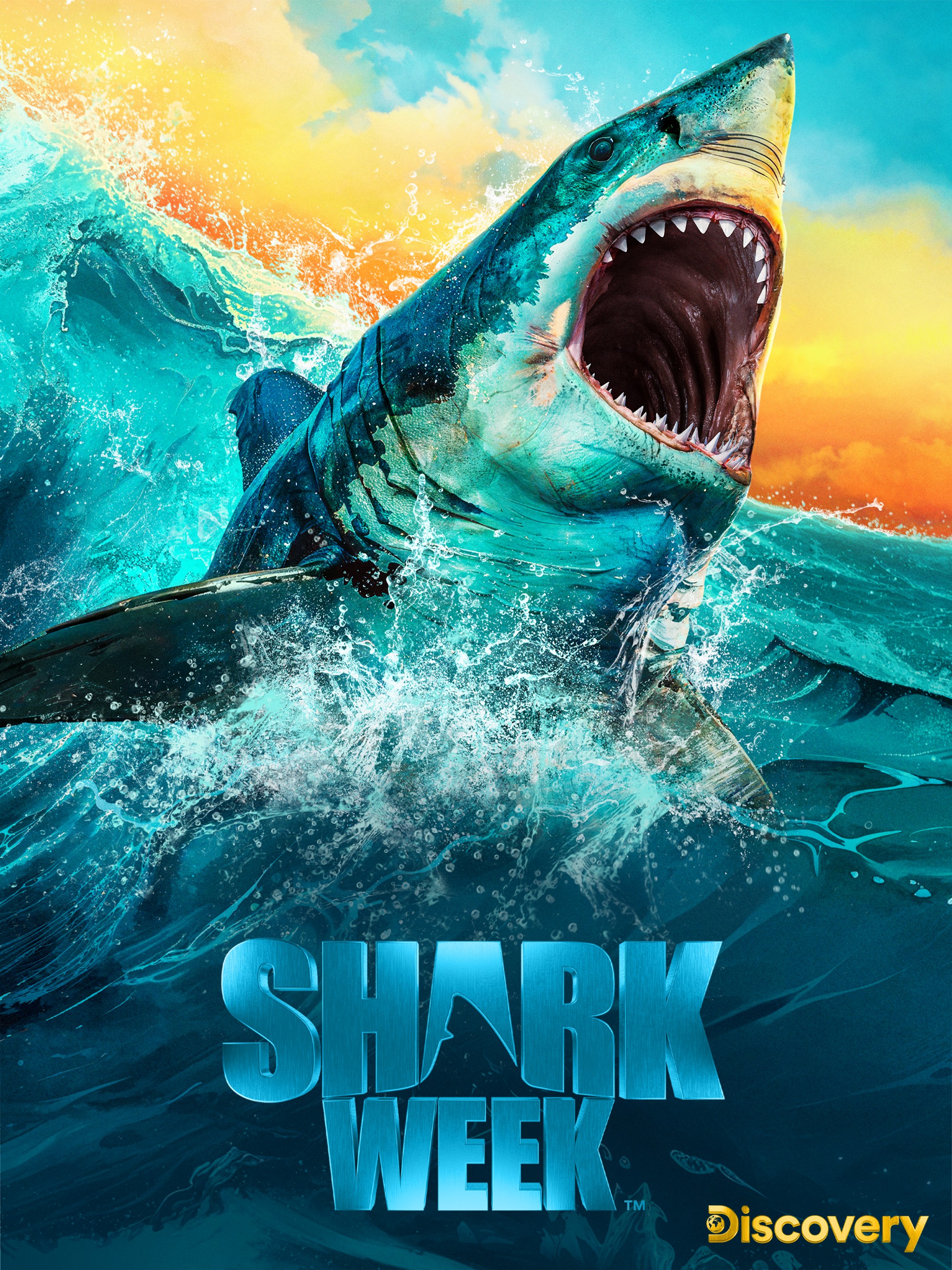 Shark Week 2024 Pictures | Rotten Tomatoes