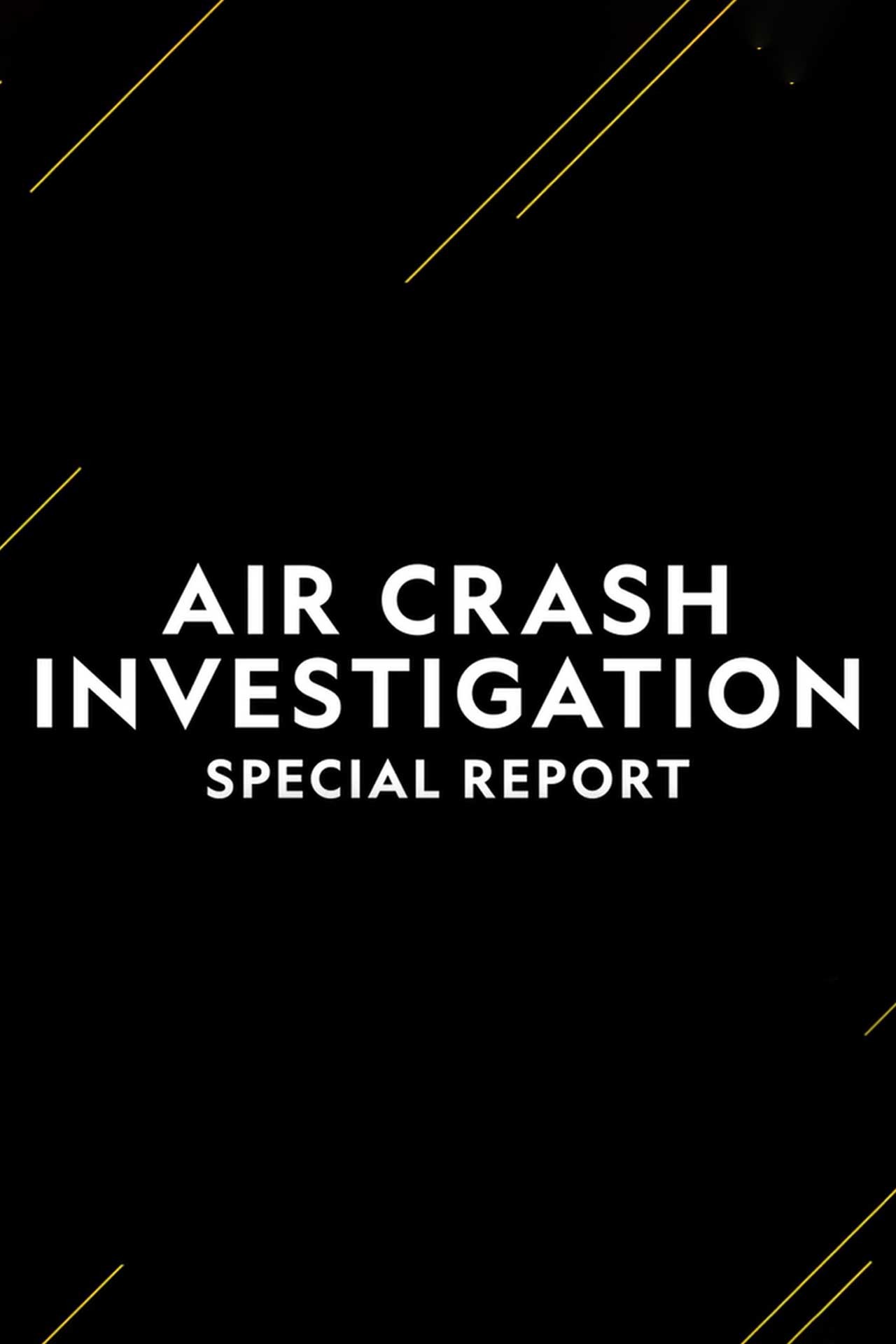 Air Crash Investigation Logo