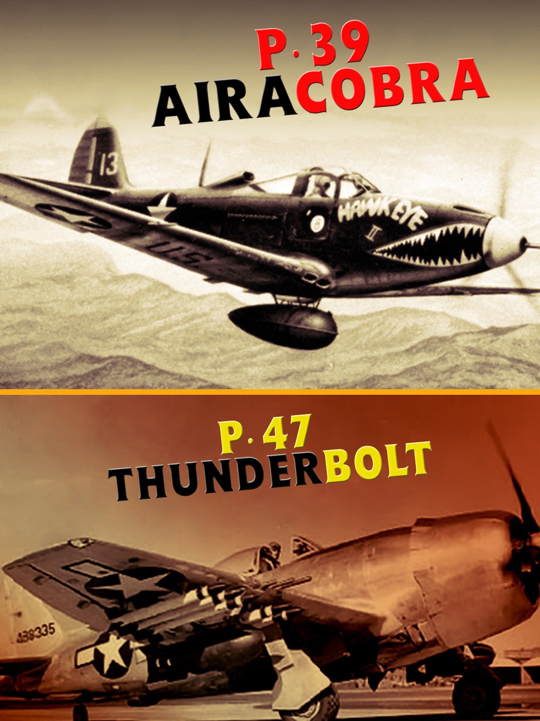P-39 Airacobra - P-47 Thunderbolt Pictures | Rotten Tomatoes