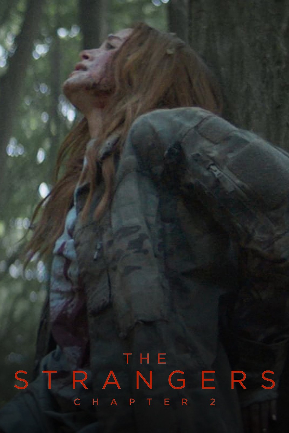 The Strangers: Chapter 2 Pictures | Rotten Tomatoes