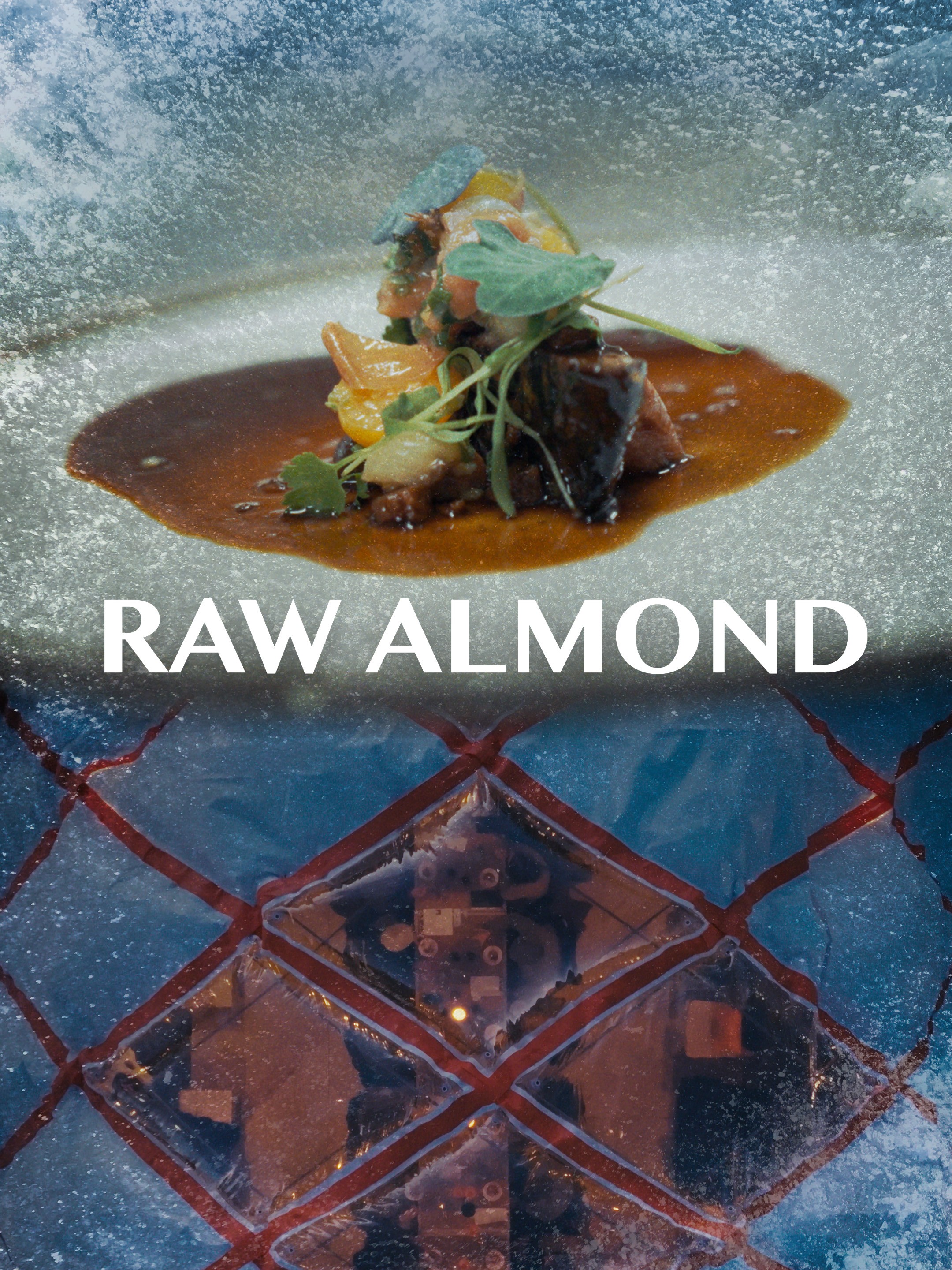 Raw Almond Pictures | Rotten Tomatoes