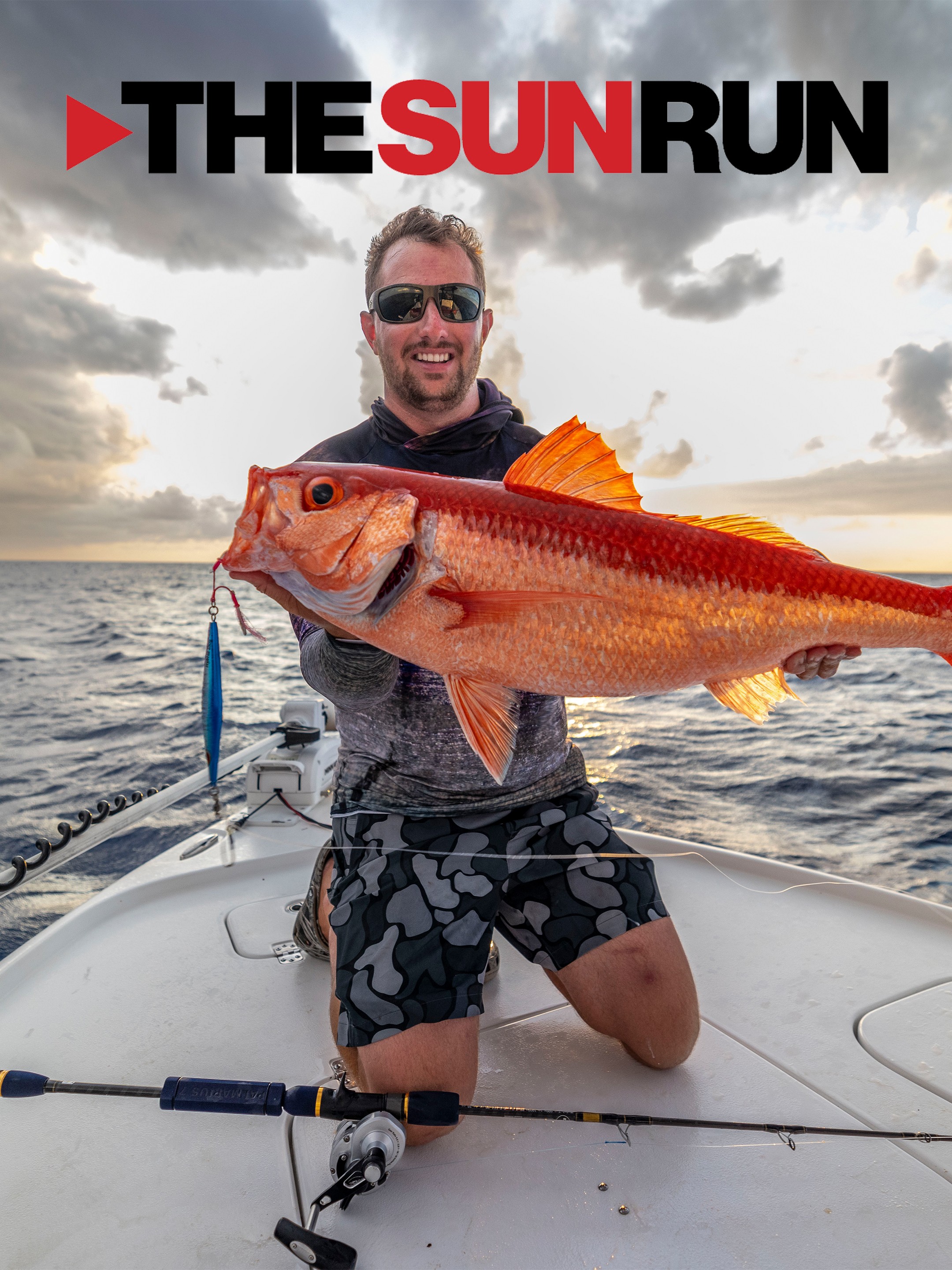 The Comeback Pictures | Rotten Tomatoes