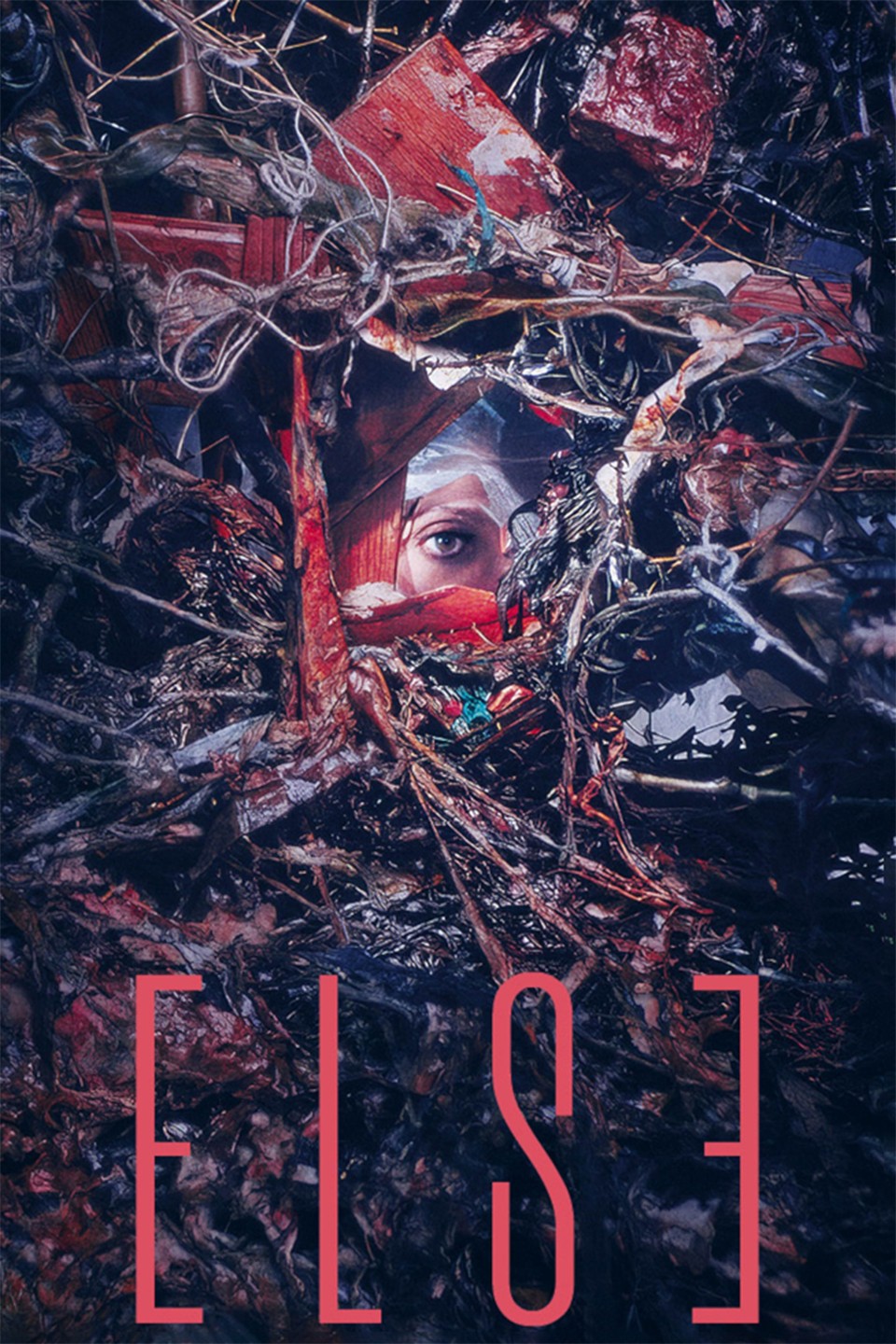 Else Pictures | Rotten Tomatoes