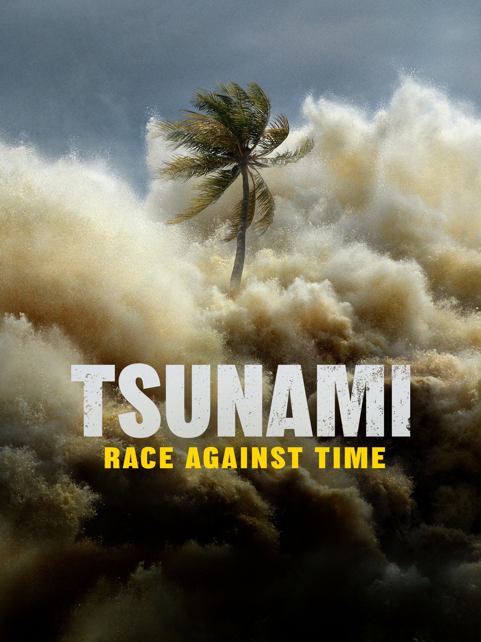 Tsunami: Race Against Time Pictures | Rotten Tomatoes