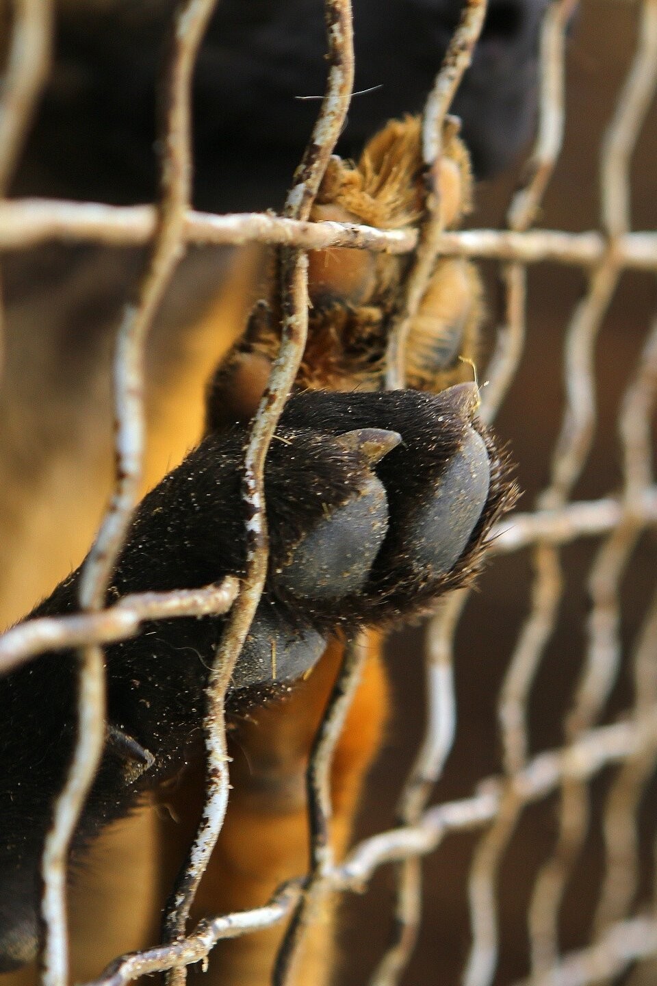 Graveyard Farm Pictures | Rotten Tomatoes