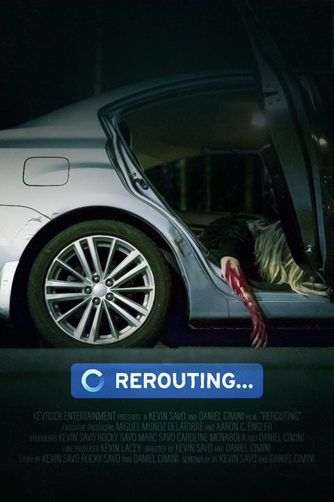 Rerouting Pictures | Rotten Tomatoes