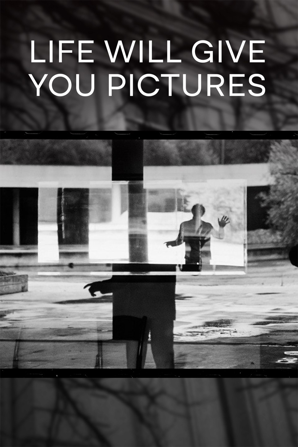 Life Will Give You Pictures Pictures | Rotten Tomatoes