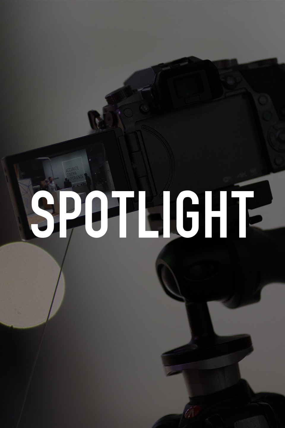 Spotlight Pictures | Rotten Tomatoes