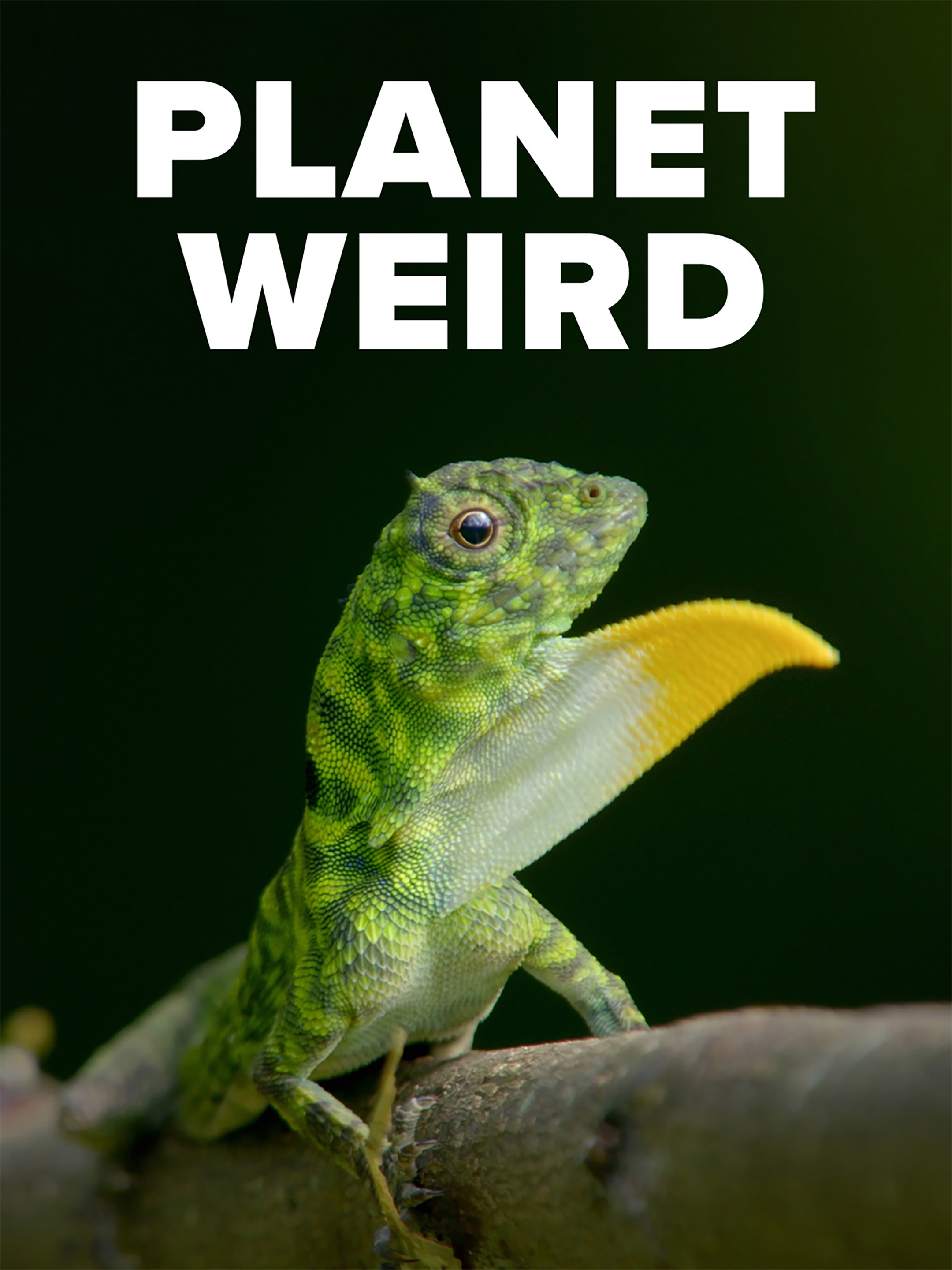 Villains Pictures | Rotten Tomatoes