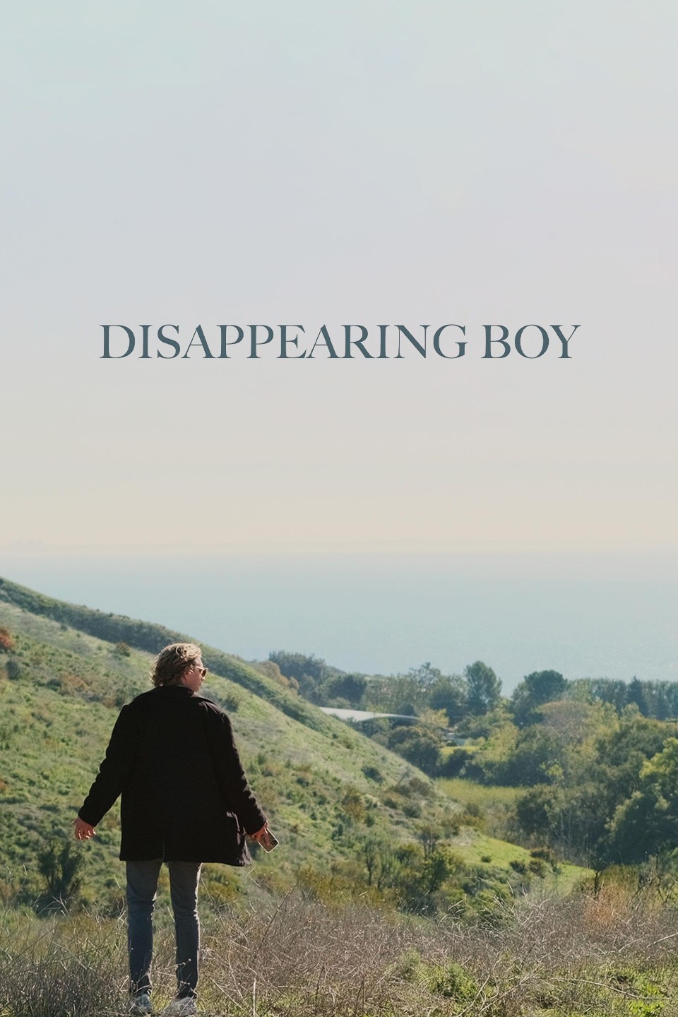 Disappearing Boy Pictures | Rotten Tomatoes
