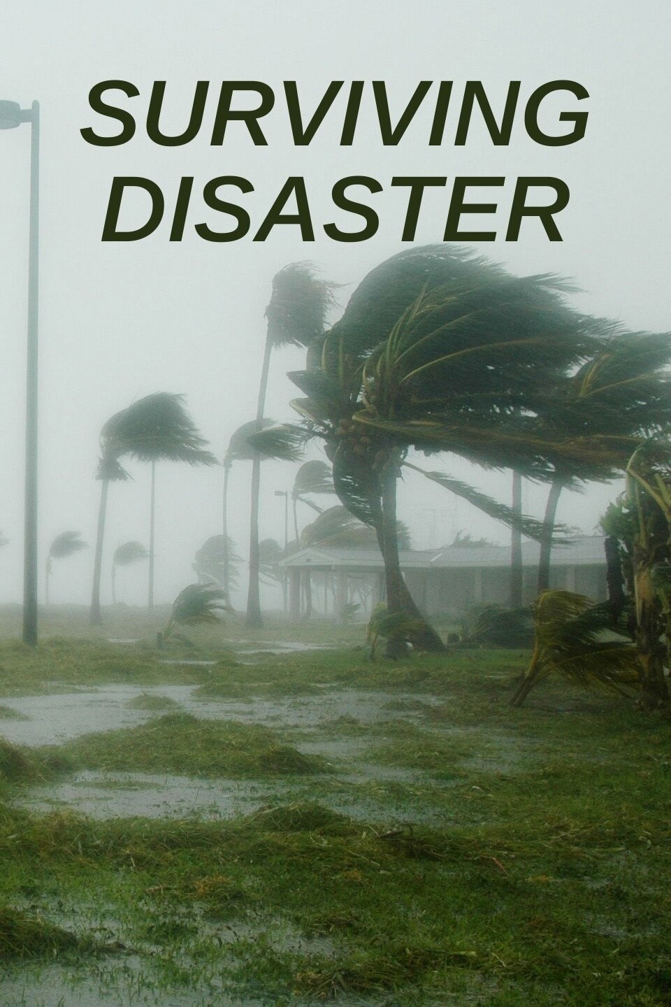 Surviving Disaster | Rotten Tomatoes