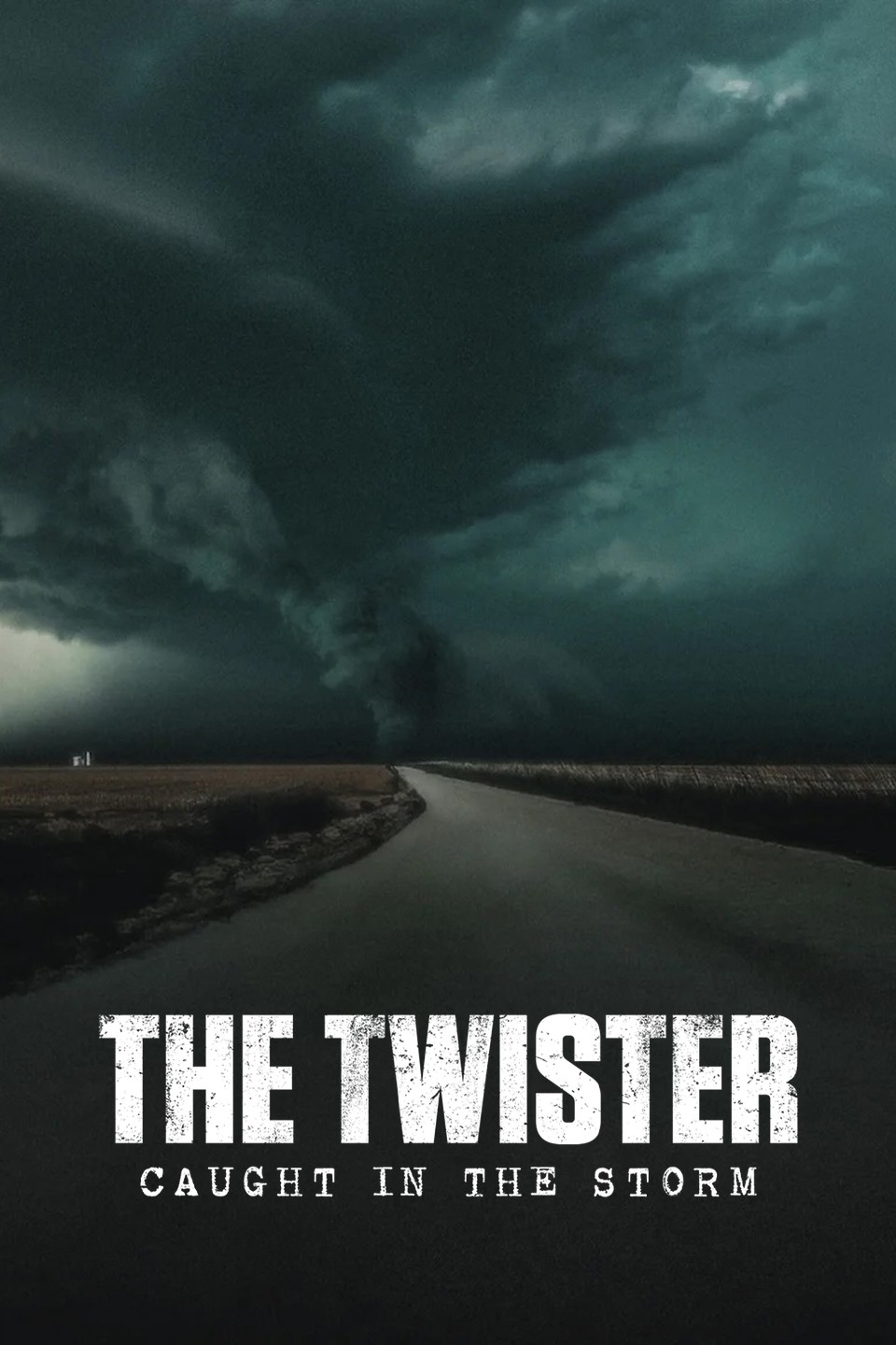 The Twister: Caught in the Storm Pictures | Rotten Tomatoes