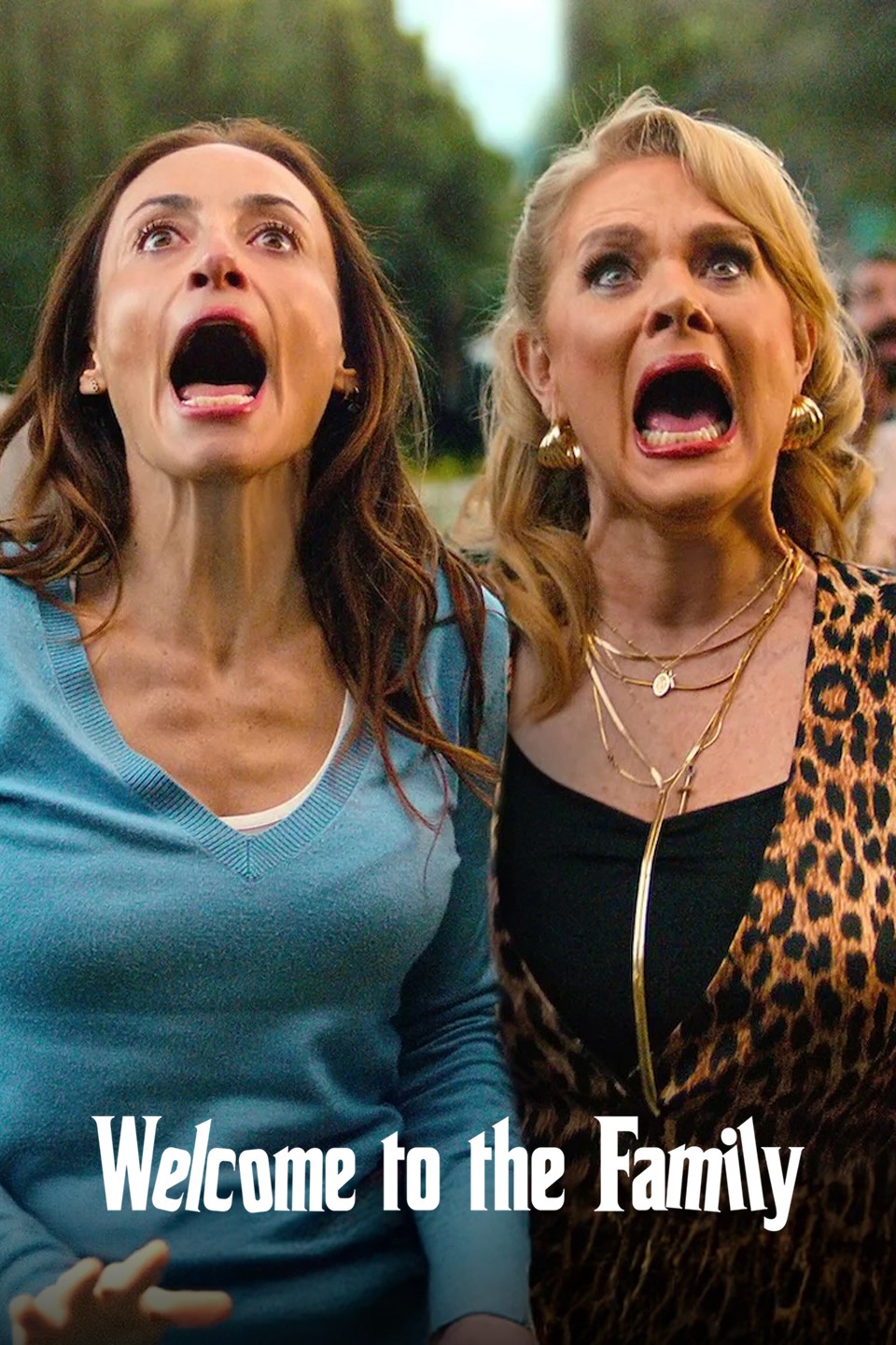 Identity Theft Pictures | Rotten Tomatoes