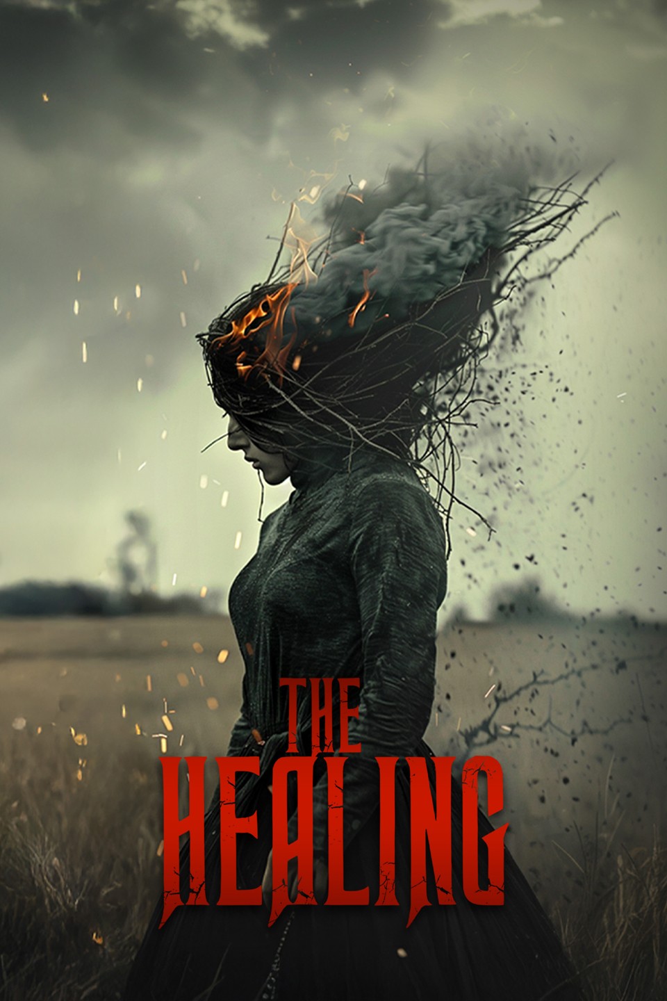 The Healing Pictures | Rotten Tomatoes